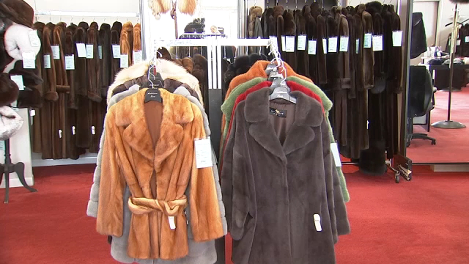 Chicago City Council votes against ordinance to ban new sales of fur ...