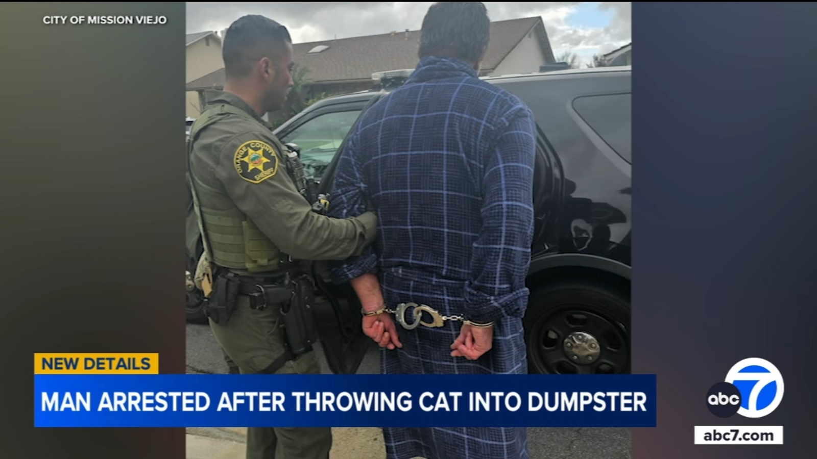 Man arrested after throwing injured cat into dumpster in Laguna Hills ...