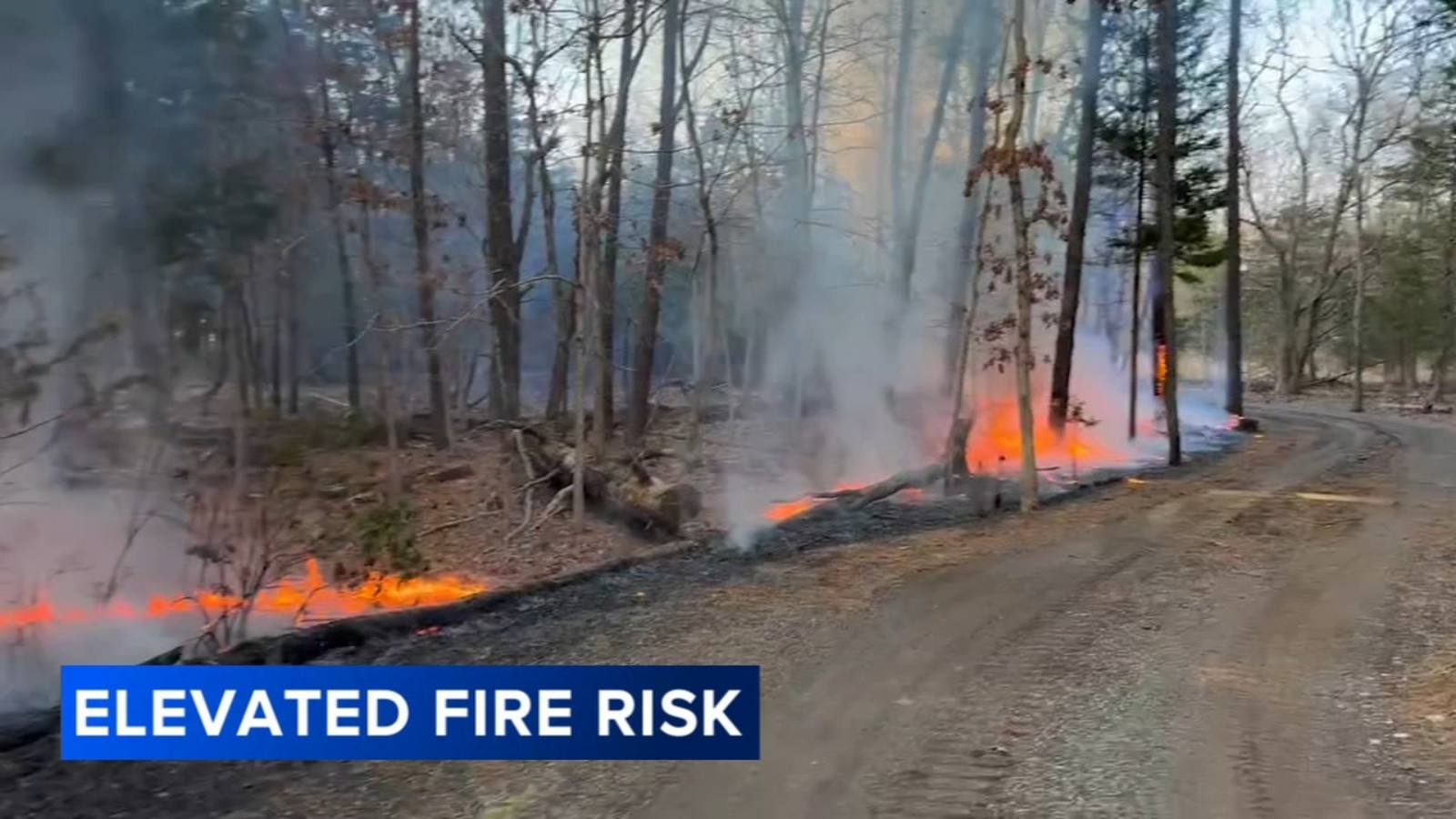 Scotland Run Wildfire in Franklinville, Gloucester County, now 100% ...