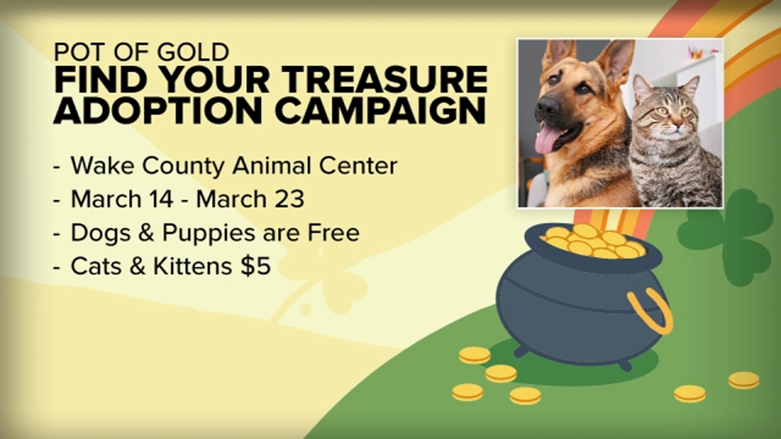 Wake County Animal Center launches St. Patrick's Day adoption campaign ...