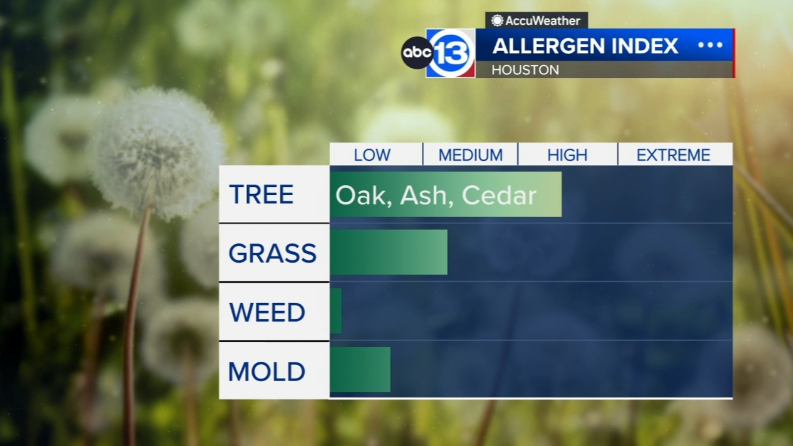 Houston Weather Forecast: Fantastic weather today but the oak pollen ...
