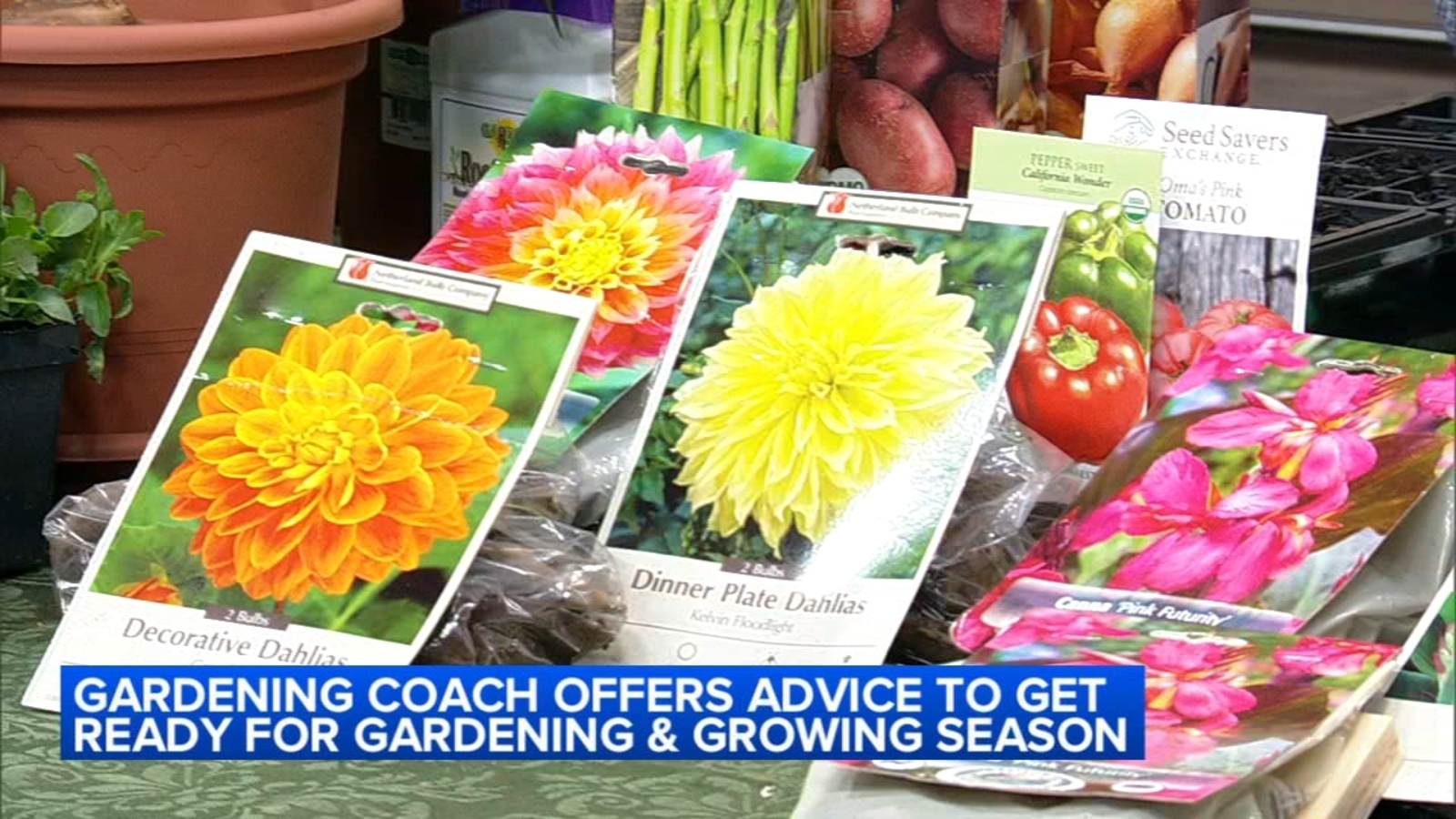 Spring Gardening Checklist: Get your yard ready for the season - ABC7 ...