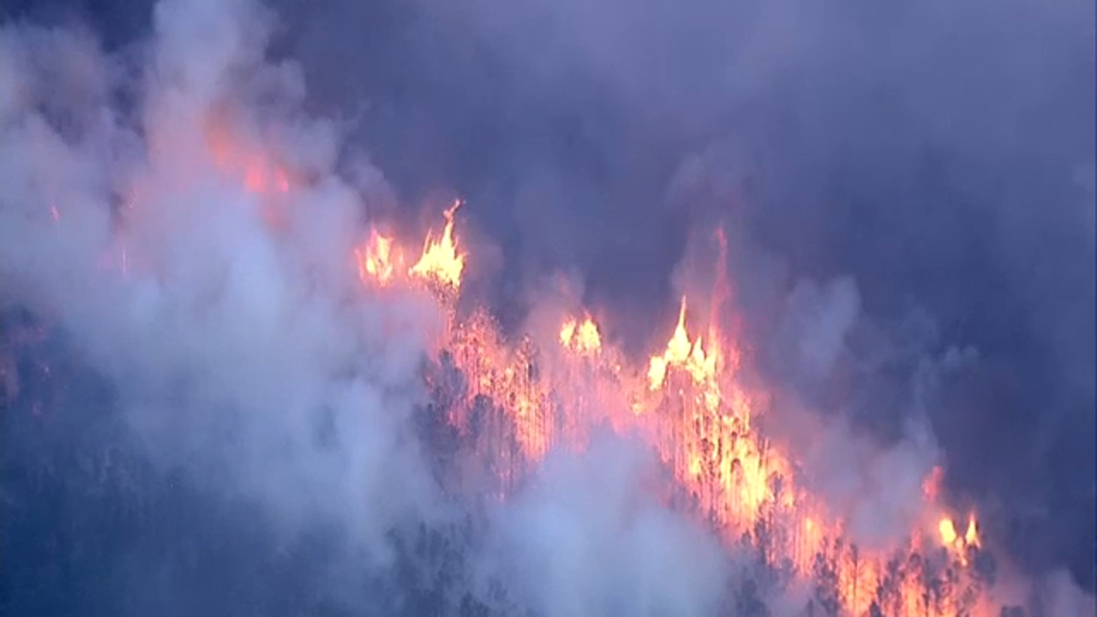 Pauline Road Fire expands to 2,000 acres in Texas | News Minimalist