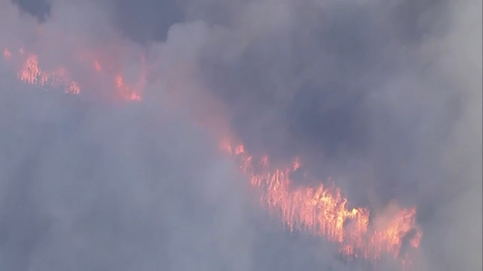 Texas wildfire: Pauline Road Fire traced back to prescribed burn after ...