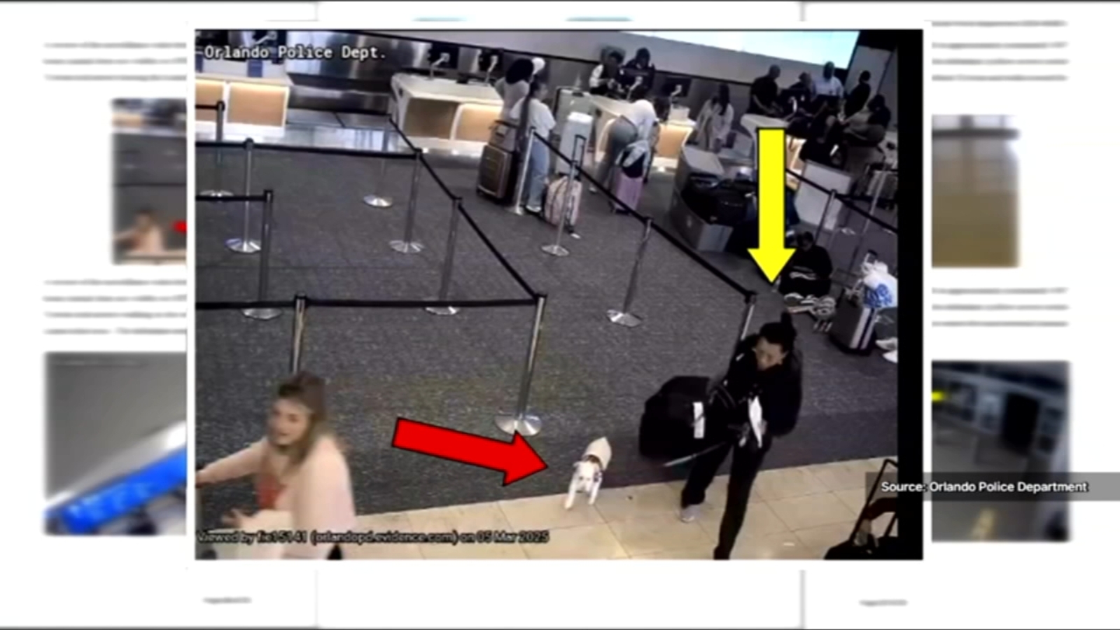 Florida woman charged with animal cruelty after allegedly drowning dog ...