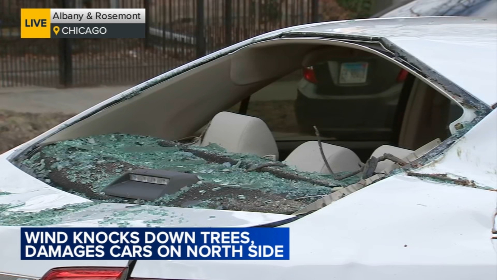 Chicago weather: Wind knocks down trees, damages cars on Chicago's ...