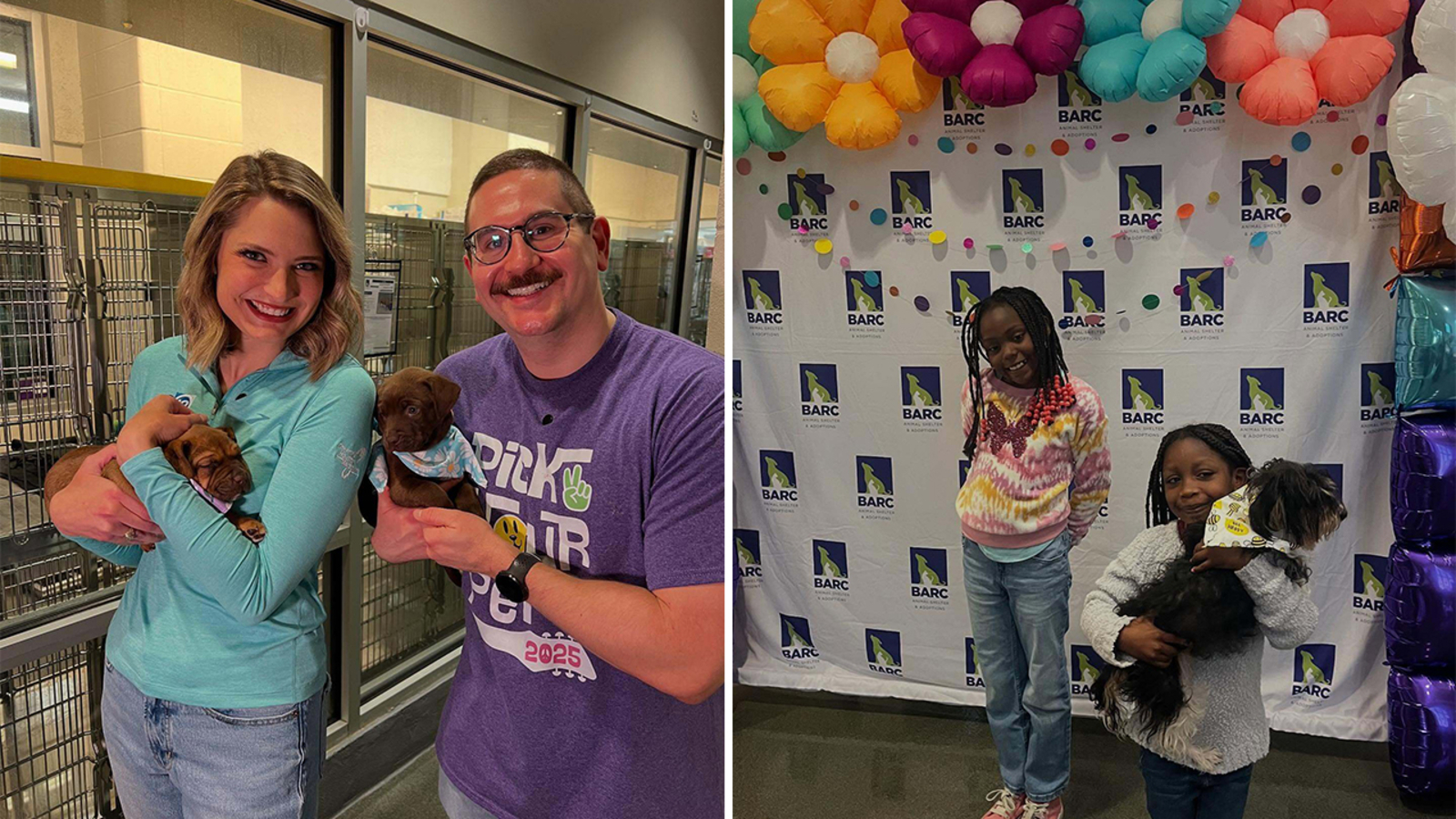 2025 ABC13 Pick Your Pet Adoption Drive: Record-breaking 168 pets ...