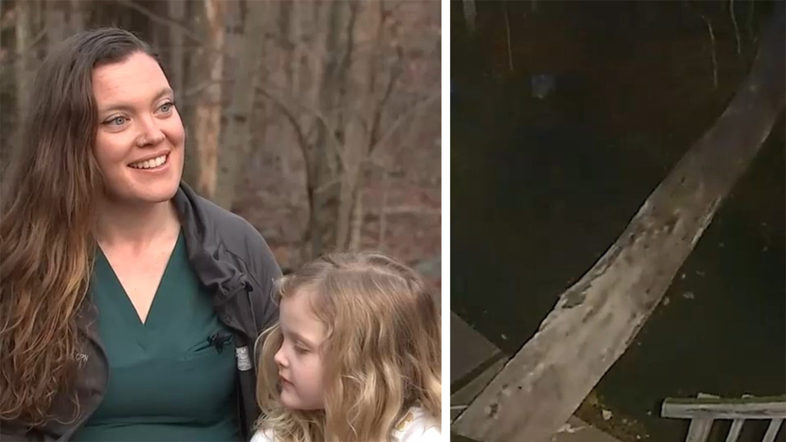 Falling tree in Rockaway, NJ nearly crashes onto woman outside her home ...