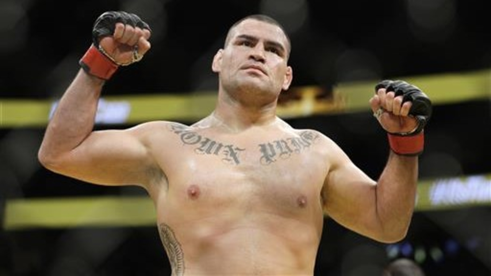 MMA Fighters defend Cain Velasquez after his sentencing as they call on ...