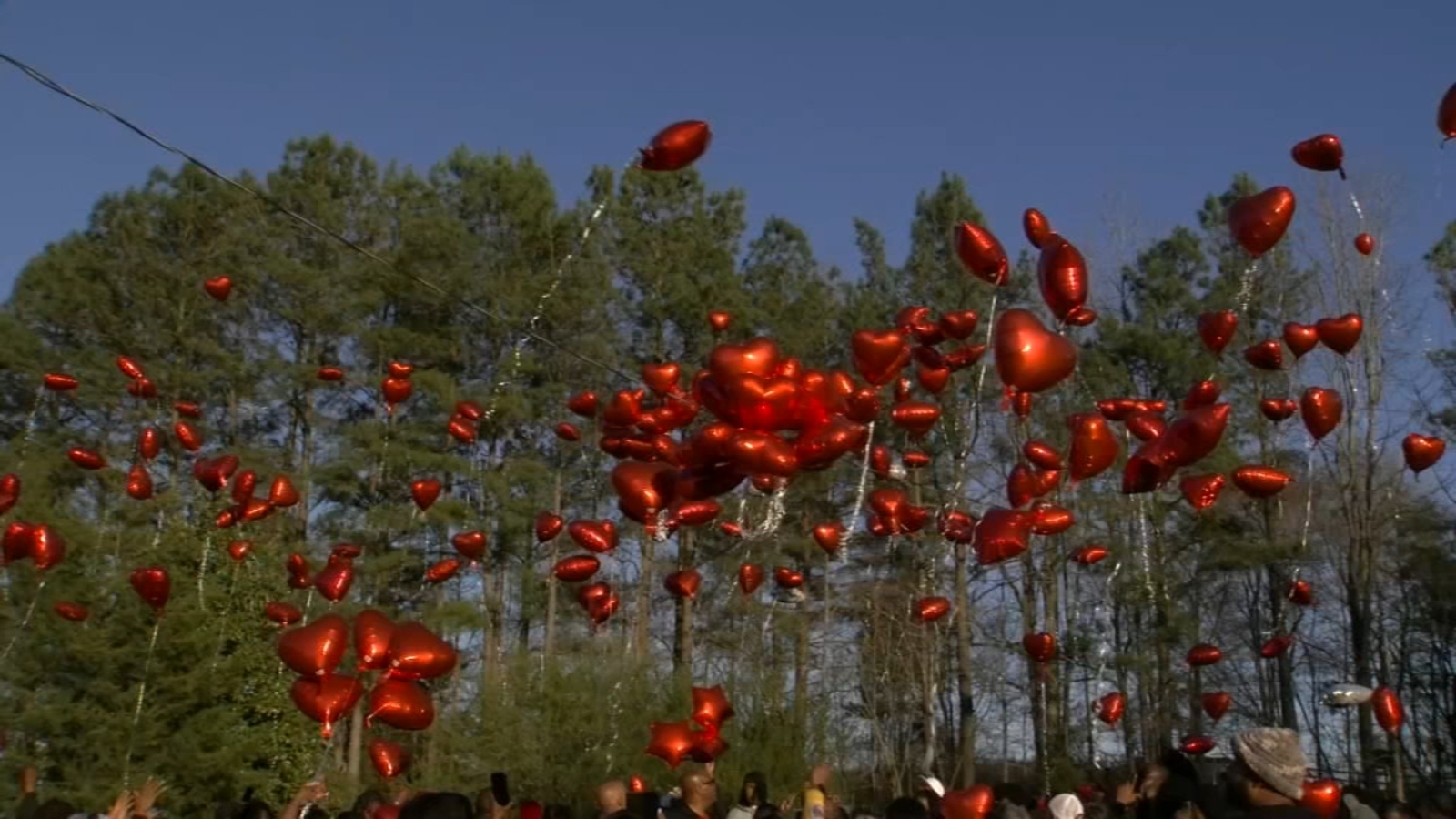 Ronald Brodie Jr. | Balloon release held for 7-year-old boy who went ...