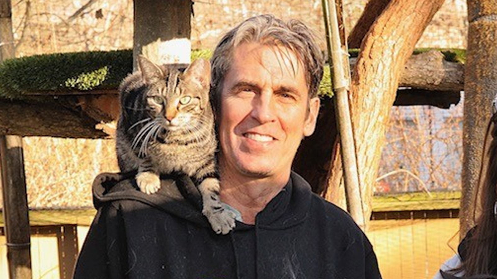 Happy Cat Sanctuary owner, multiple cats killed in fire in Medford, New ...