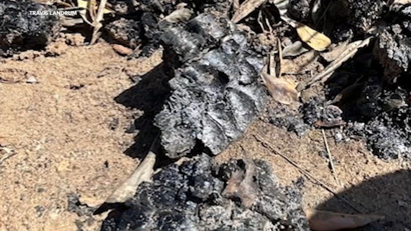 CA Fair Plan: Fire victims with smoke, chemical damage not covered by ...