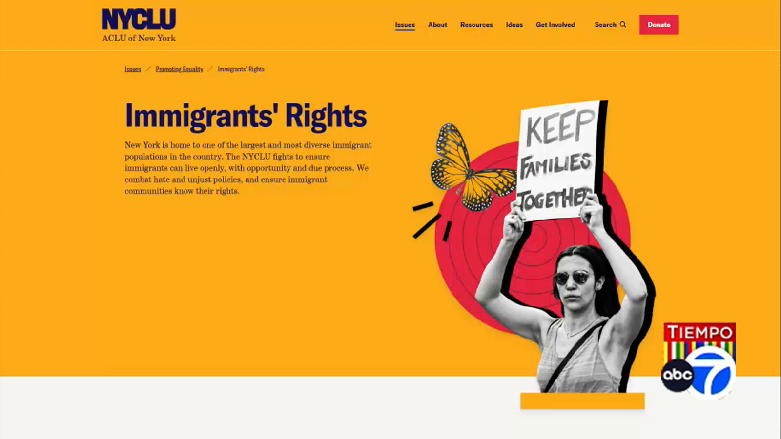 Tiempo with Joe Torres: NYCLU releases updated 'Know Your Rights' guide ...