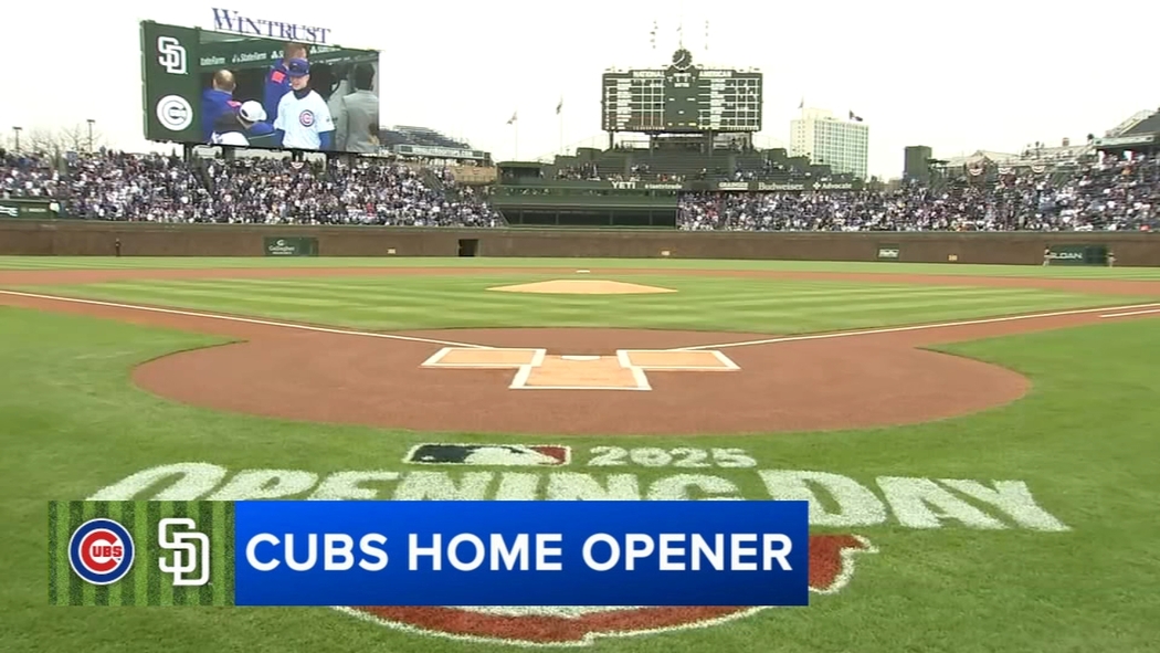 Chicago Cubs Stadium Baseball