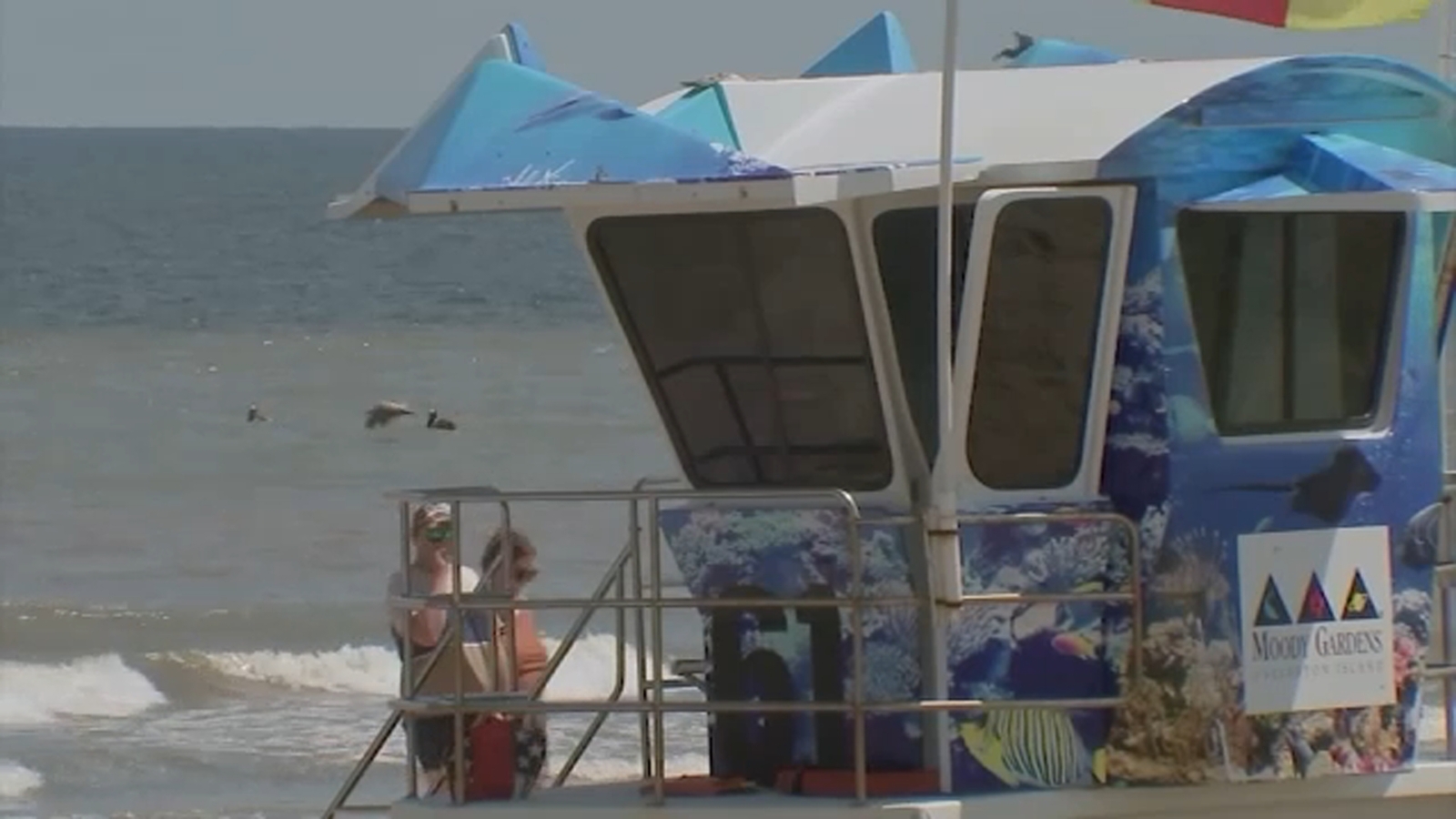 Galveston Park Board chair says he's embarrassed Chilean lifeguards ...