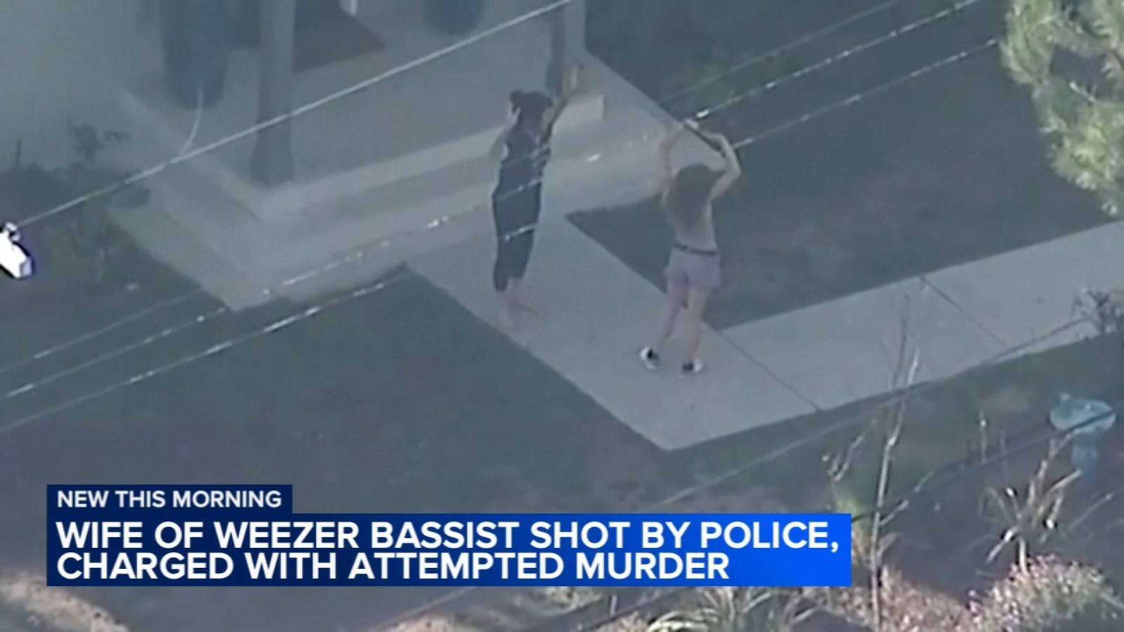 Jillian Shriner, wife of Weezer bassist, booked for attempted murder ...