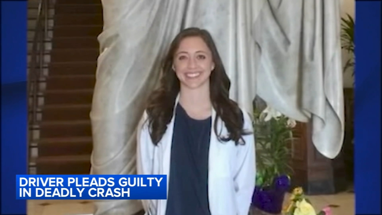 Barbara Friedes death: Driver pleads guilty in crash that killed ...