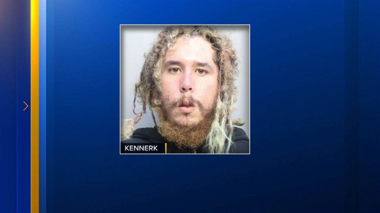 New details released after Florida man arrested with multiple weapons ...