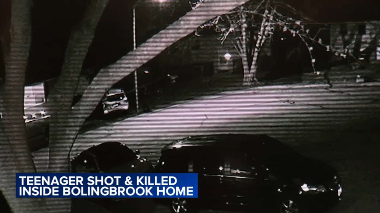 Daniel V. Starks killed: 17-year-old shot to death in Bolingbrook ...
