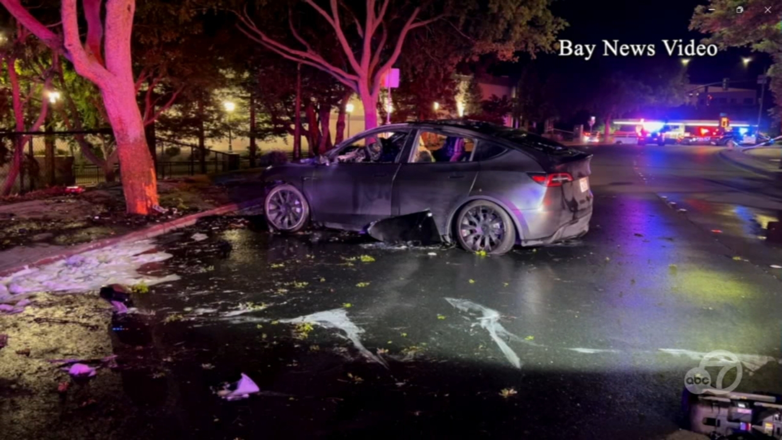Driver dies in early-morning solo crash involving Tesla in Walnut Creek ...
