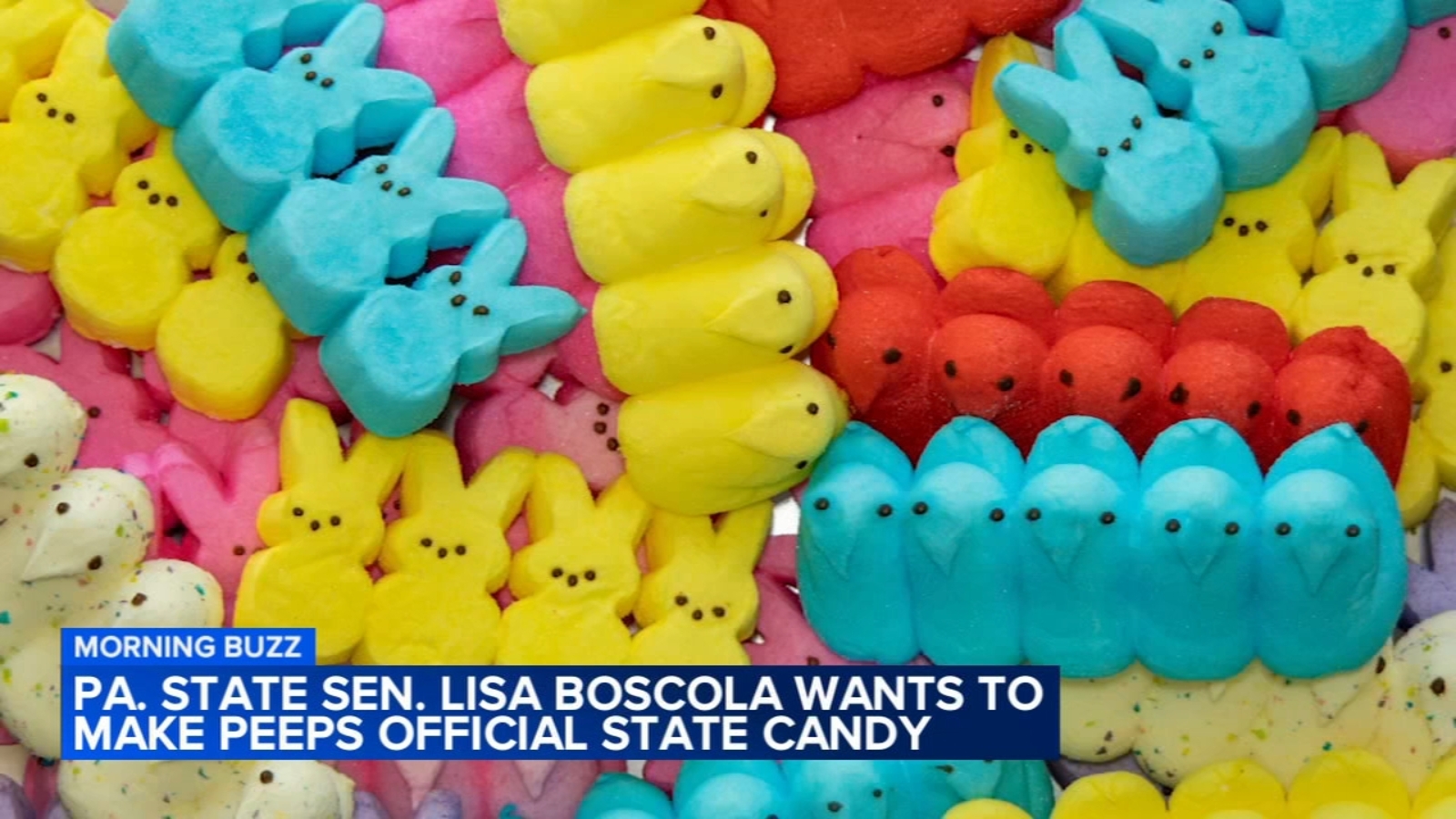 What is hte Pennsylvania state candy? PA State Sen. Lisa Boscola wants ...