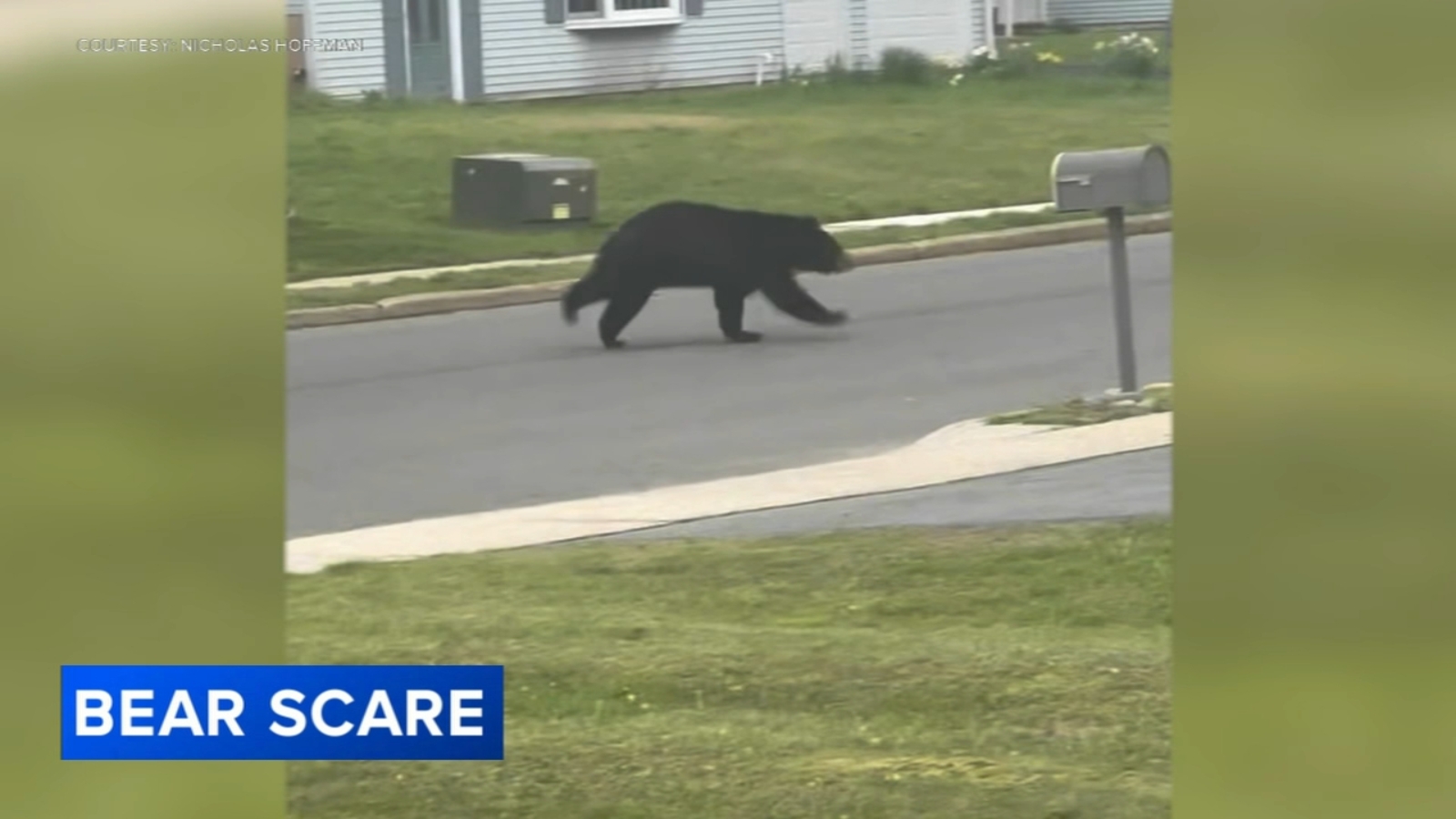 Bear caught on video running through Hamilton Twp., New Jersey ...