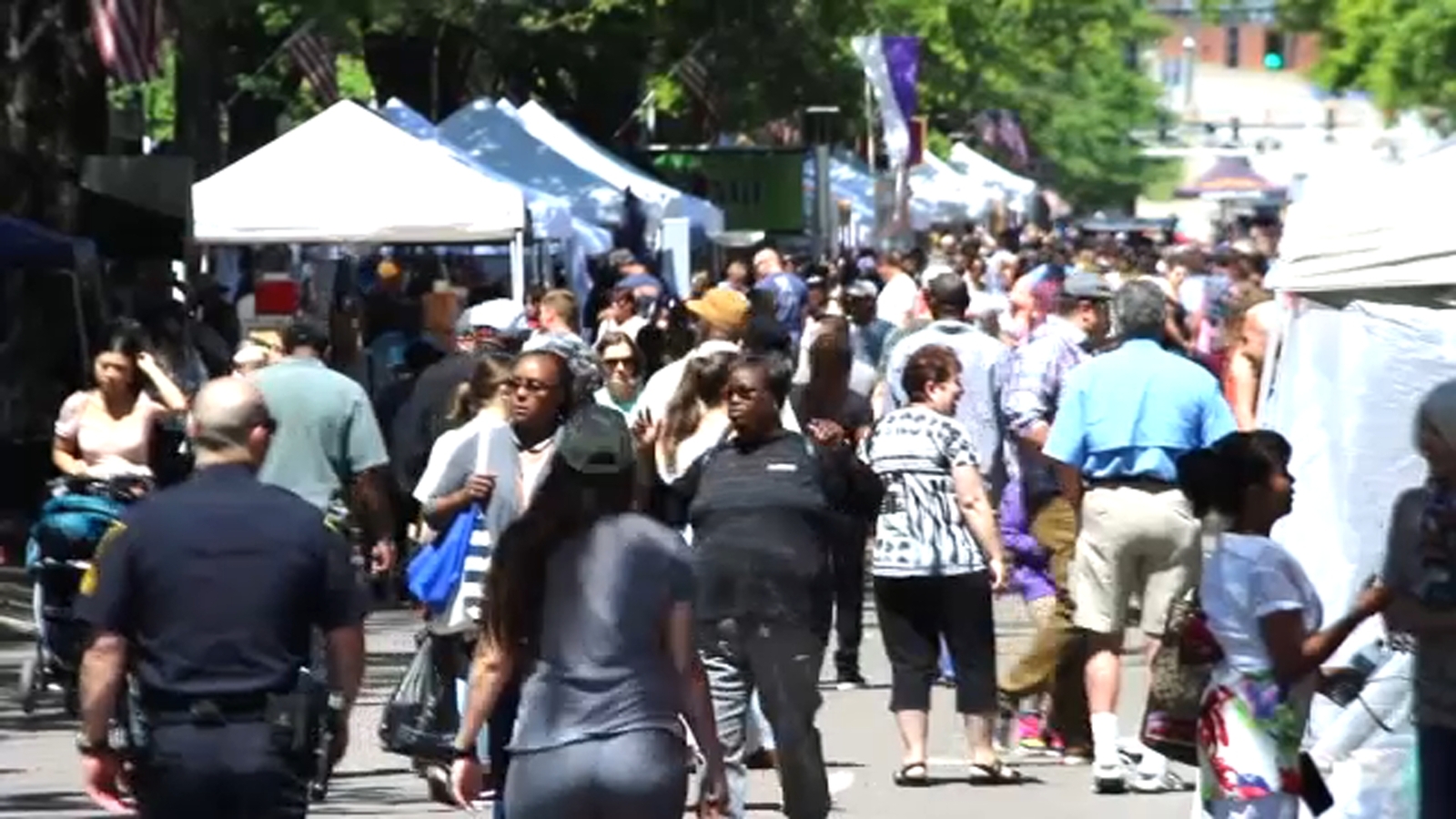 43rd Fayetteville Dogwood Festival - ABC11 Raleigh-Durham