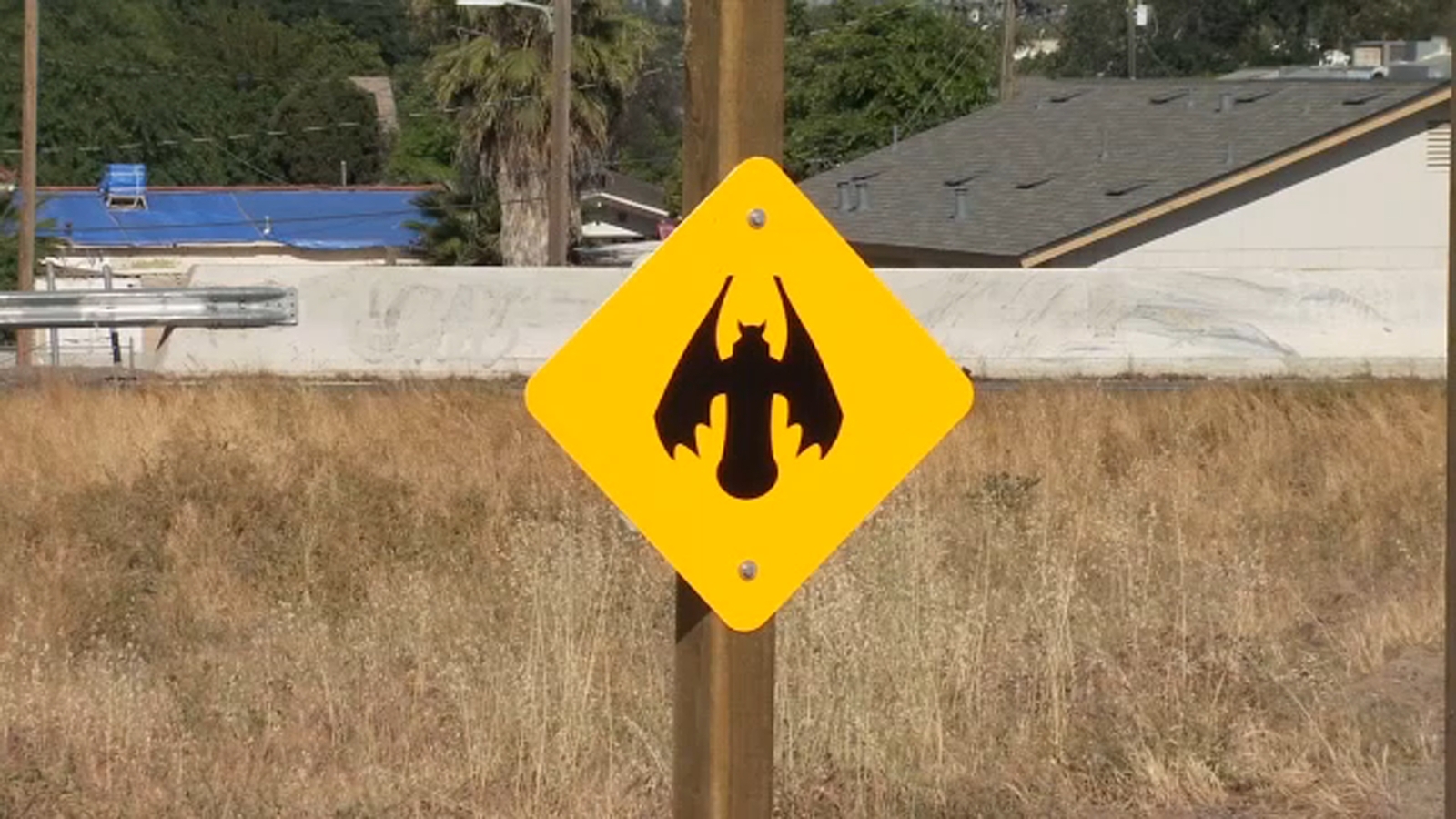 Mysterious 'bat sign' on Highway 180 was a sticker, Caltrans says ...