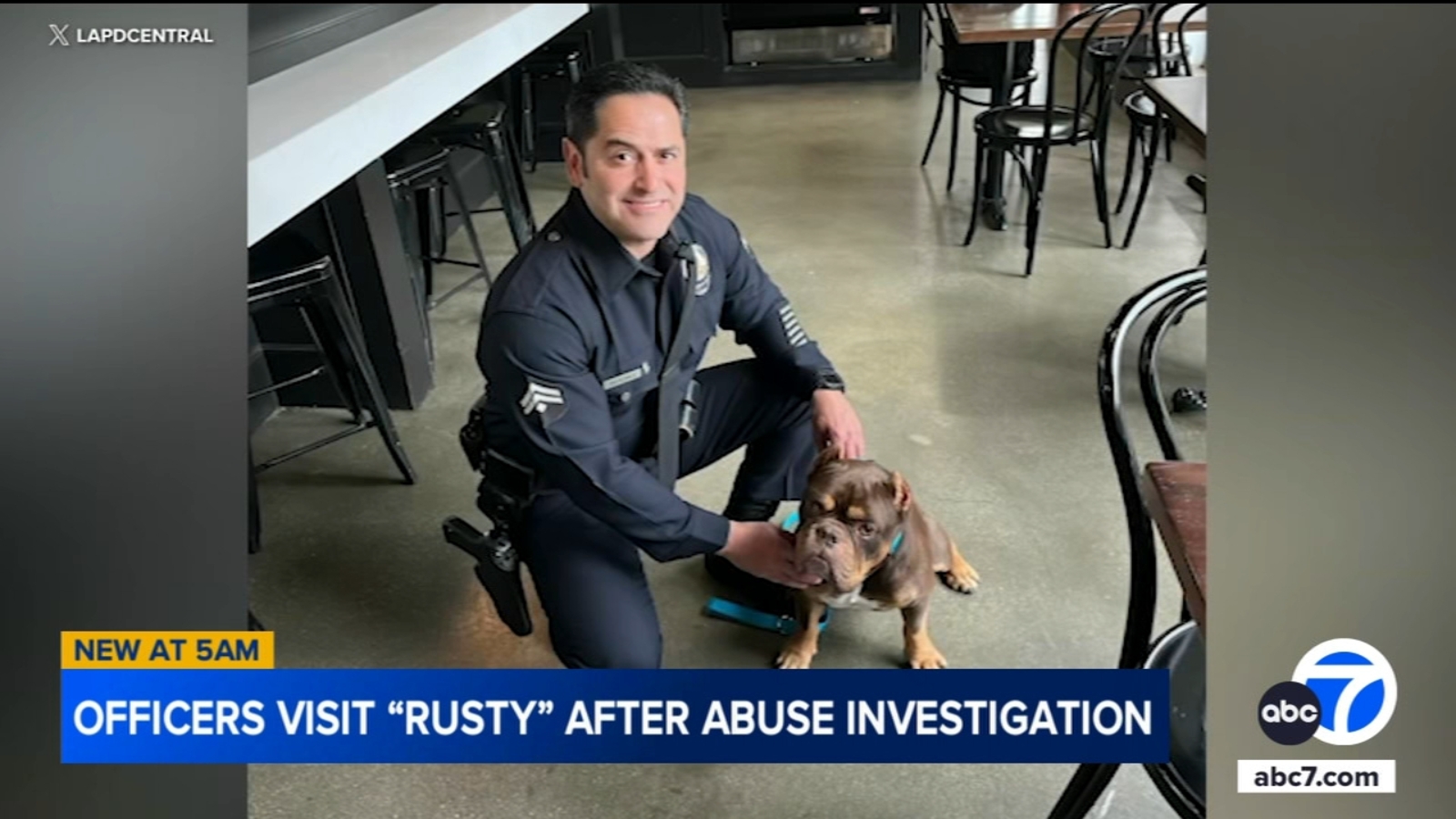 LAPD officers visit dog rescued after disturbing video triggered animal ...