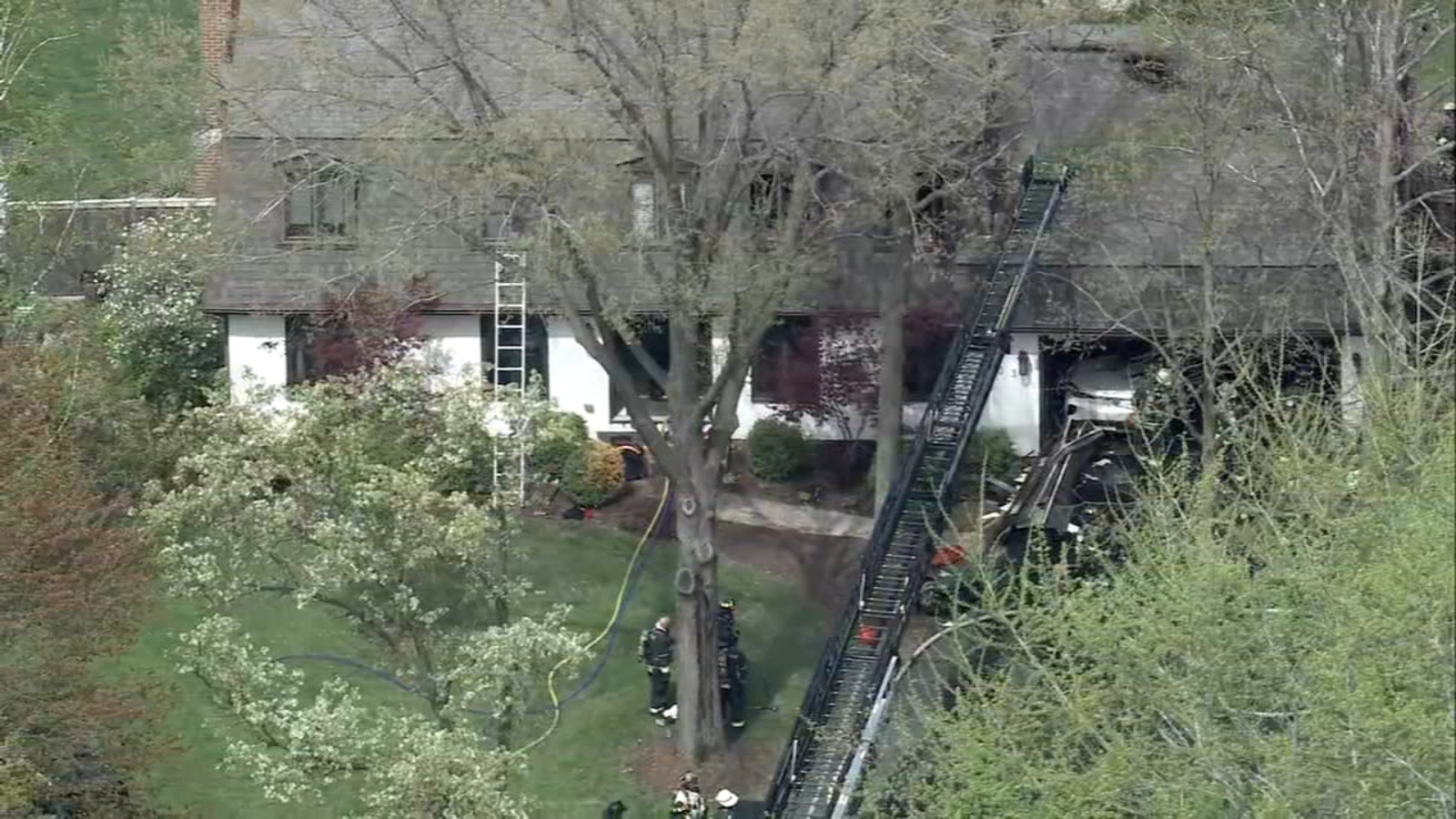 Neighbors help rescue family, dogs from house fire in Naperville ...