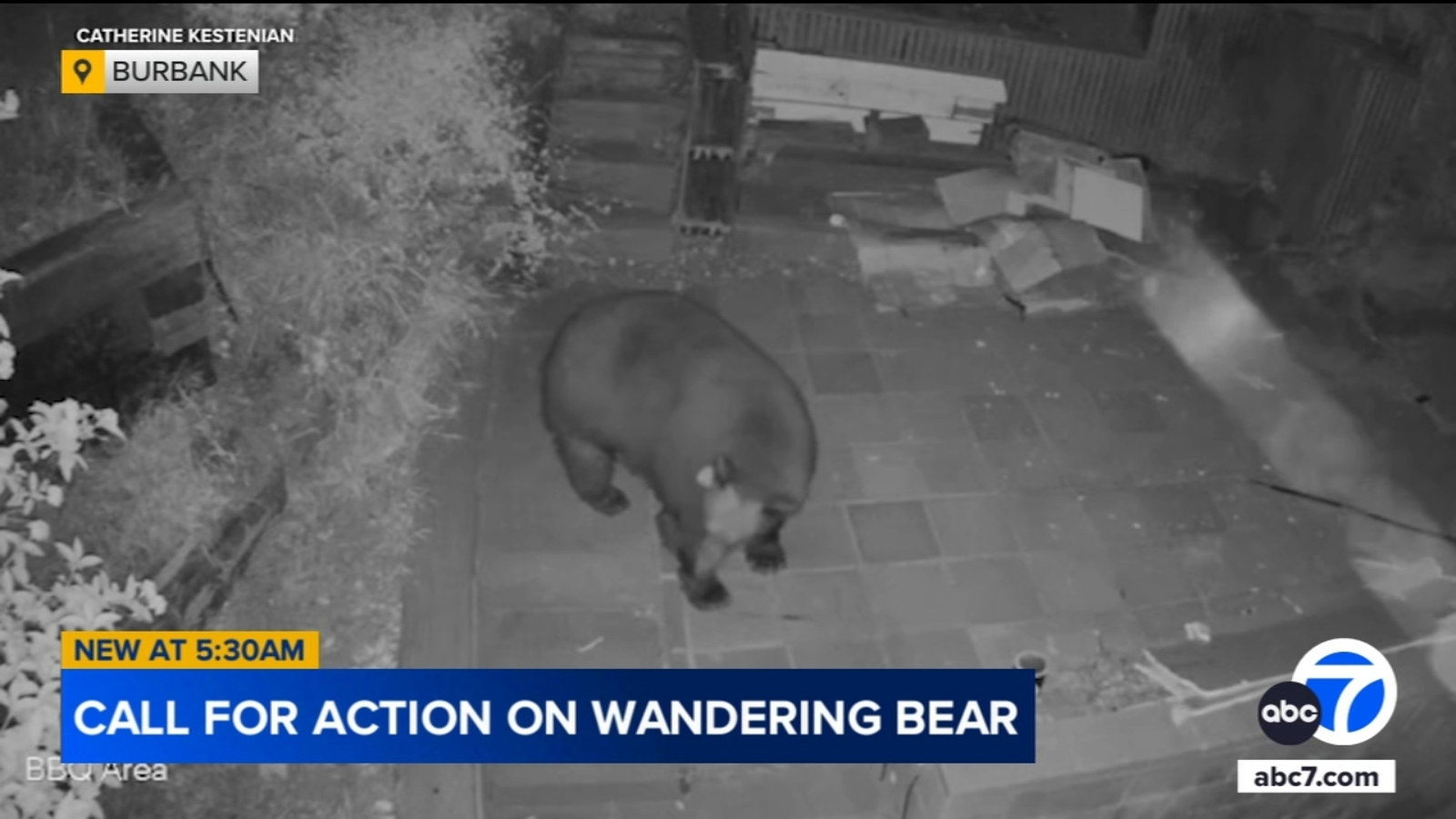 Burbank residents call for action after bear spotted in neighborhood ...