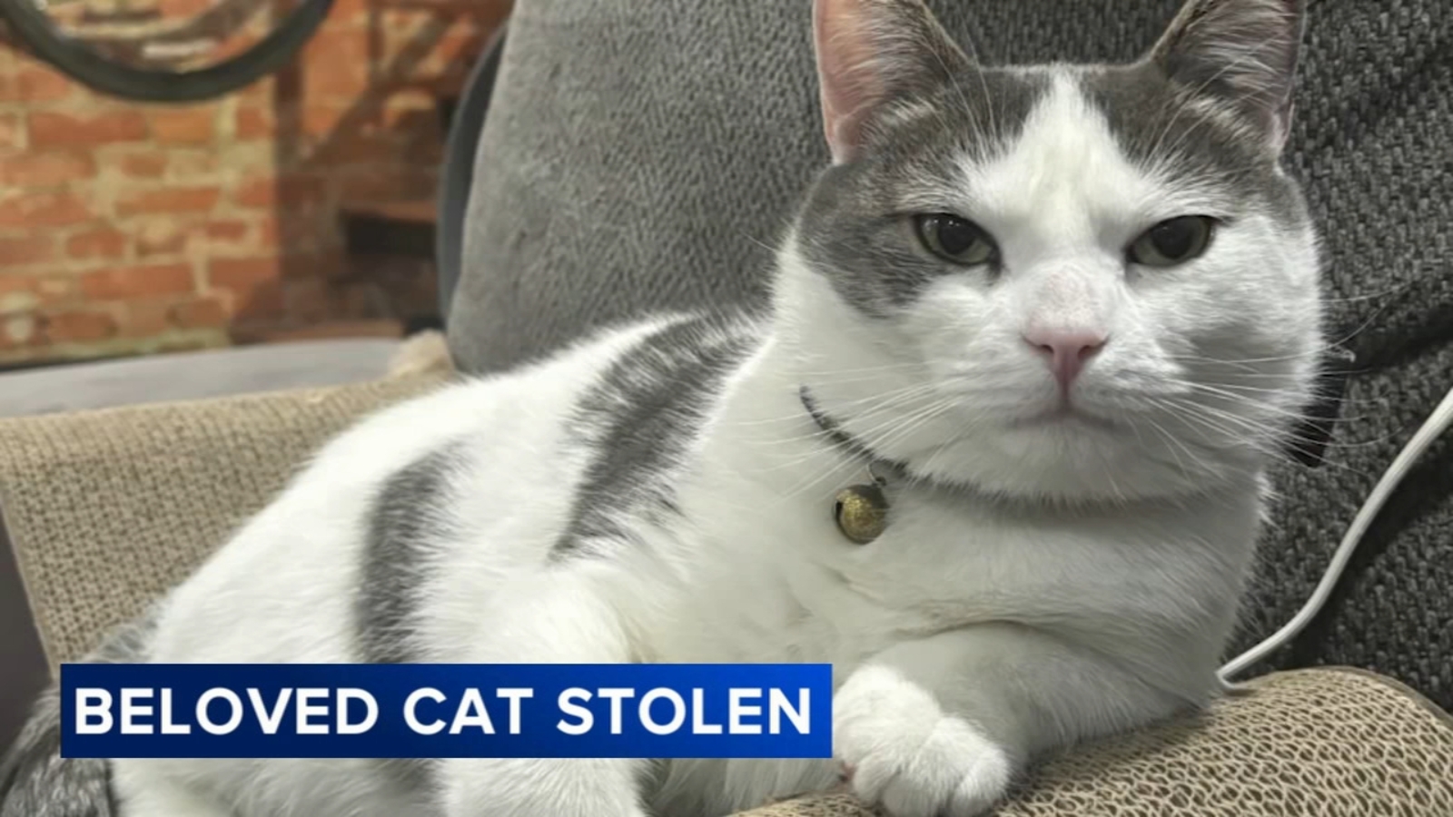 Philadelphia couple heartbroken after they say 2 children, woman stole ...