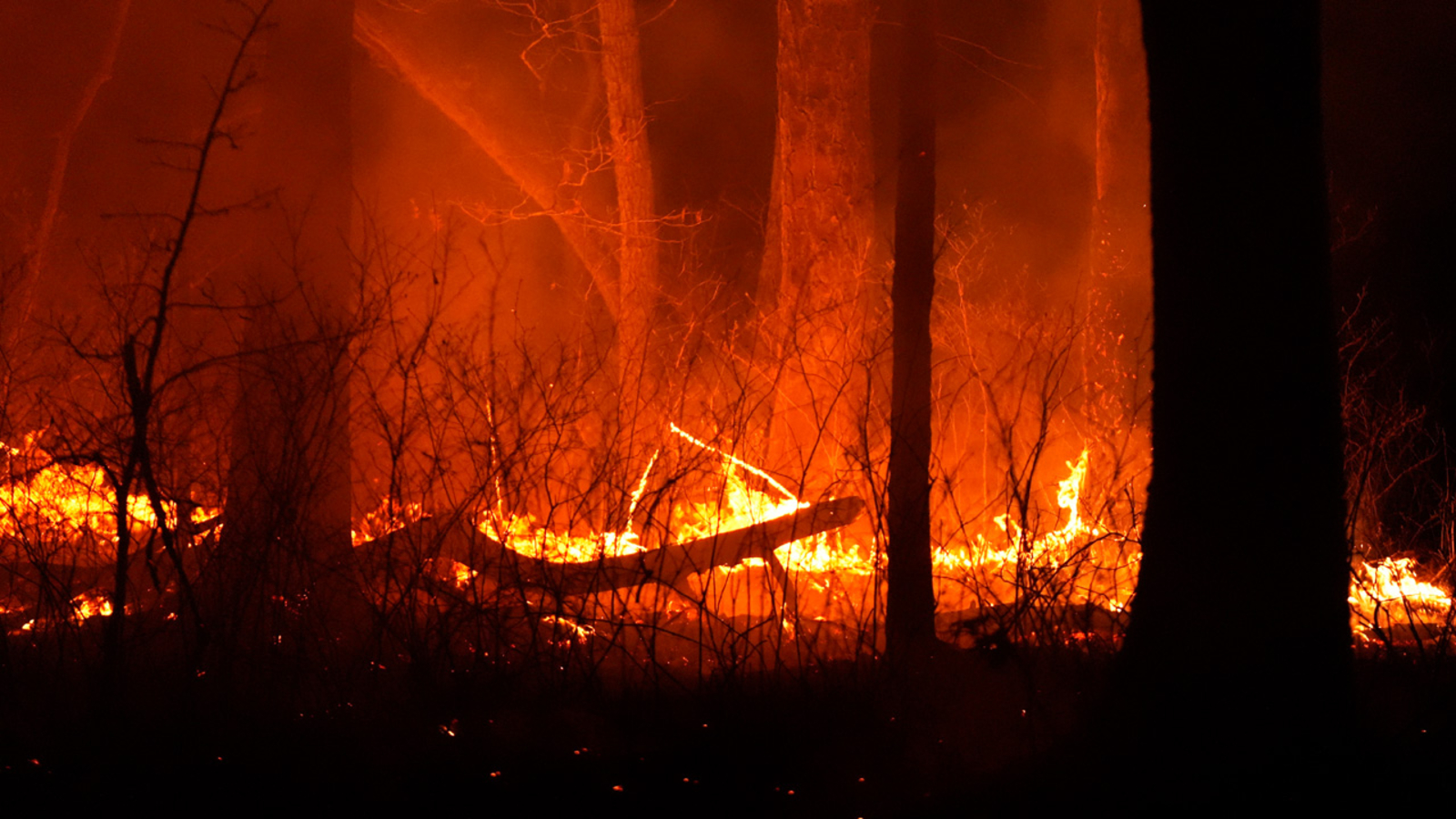 Jones Road Wildfire update: 2nd teen arrested in connection with fire ...
