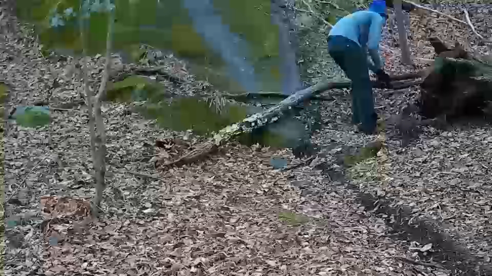Man accused of putting tree limbs, debris in path of mountain bikers in ...