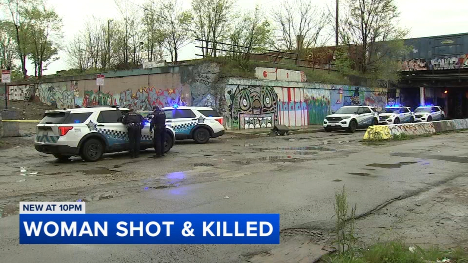 Chicago shooting: Female victim shot in head, killed on South Laflin ...