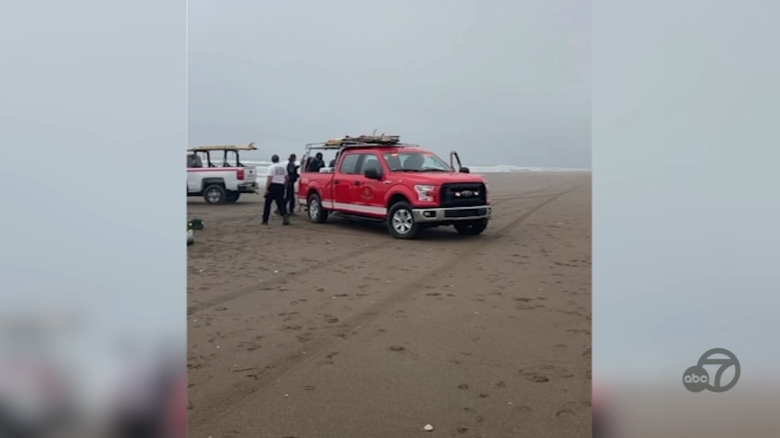 Man dies trying to save dog from San Francisco Ocean Beach surf, fire ...