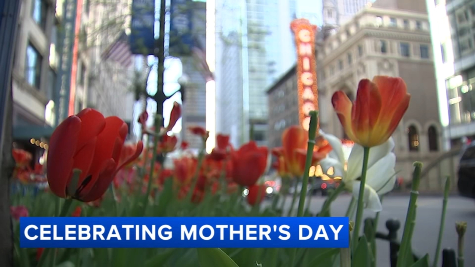 Mother's Day 2025: Families across Chicago area share appreciation for ...