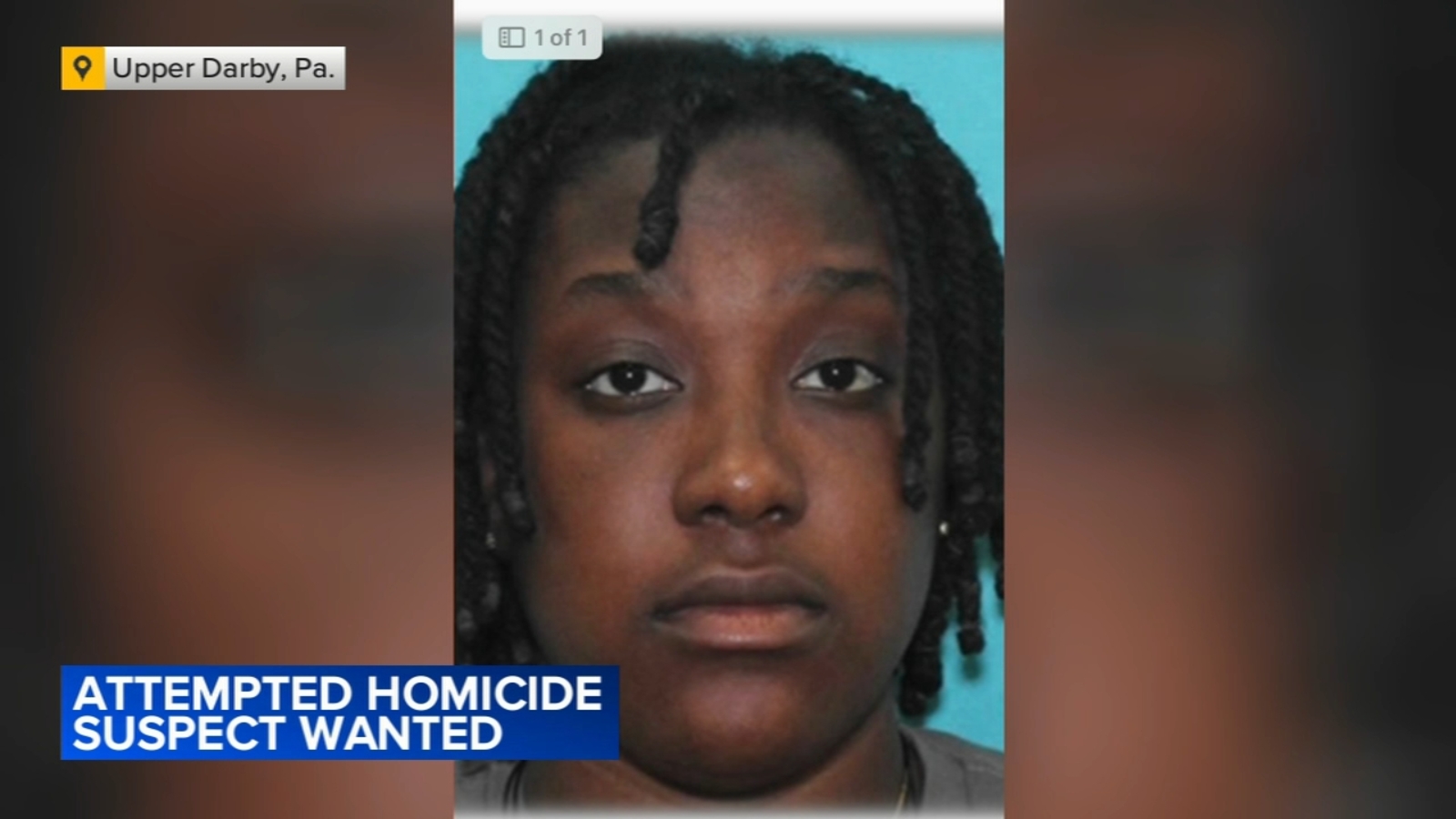 Woman in custody, accused of attempted homicide during domestic ...