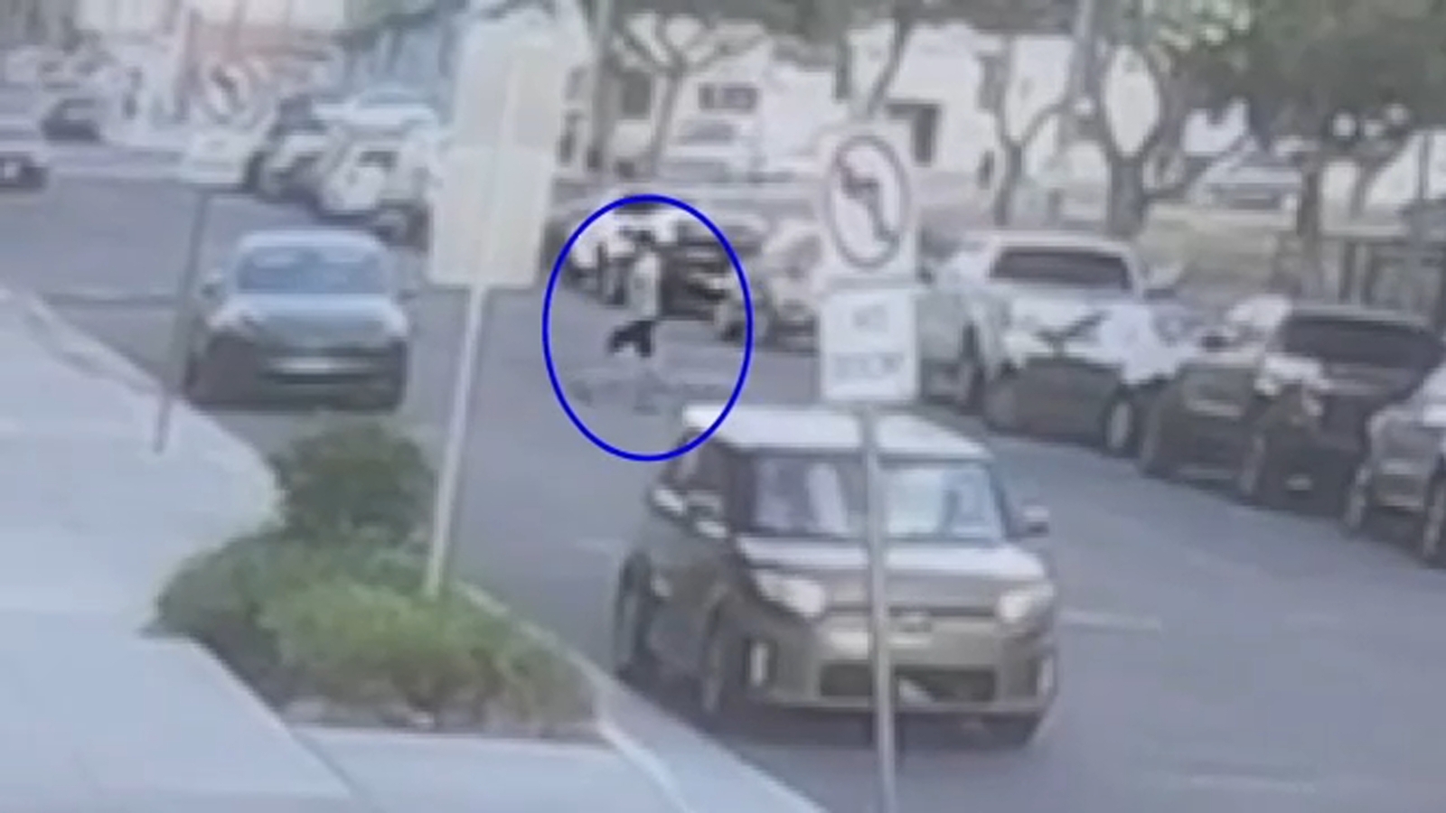 Tesla road-rage driver's alleged attack on mother, daughter in Hawaii ...