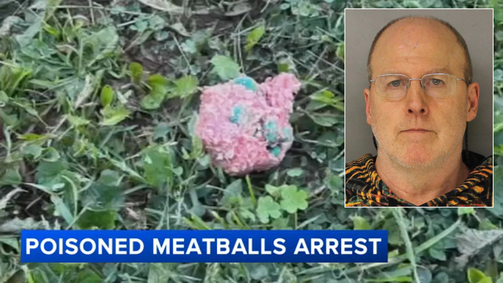 Broomall, Pa. man allegedly tried to silence barking dogs with rat ...