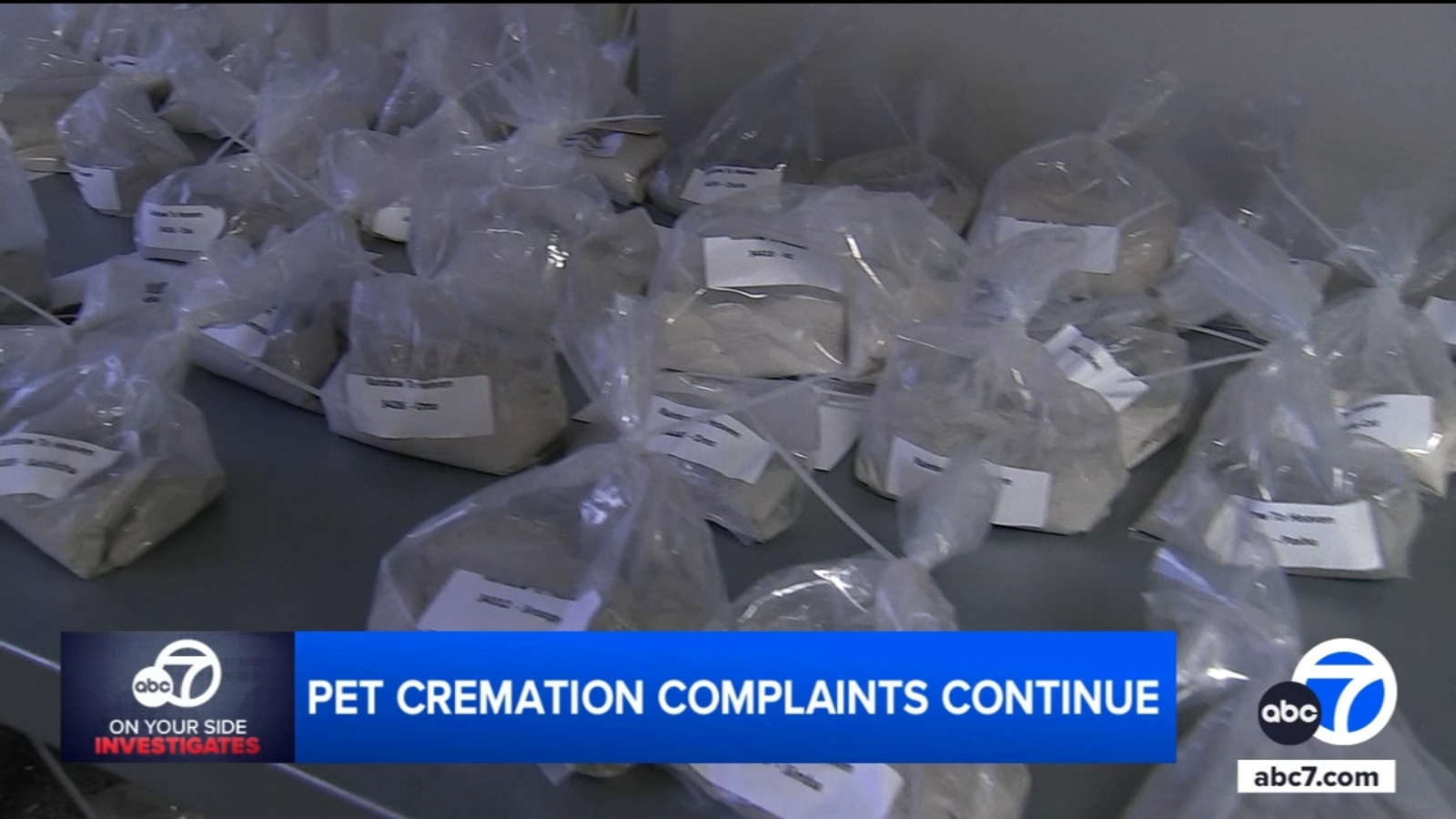 More customers of pet cremation company Rainbow to Heaven turn to 7 On ...