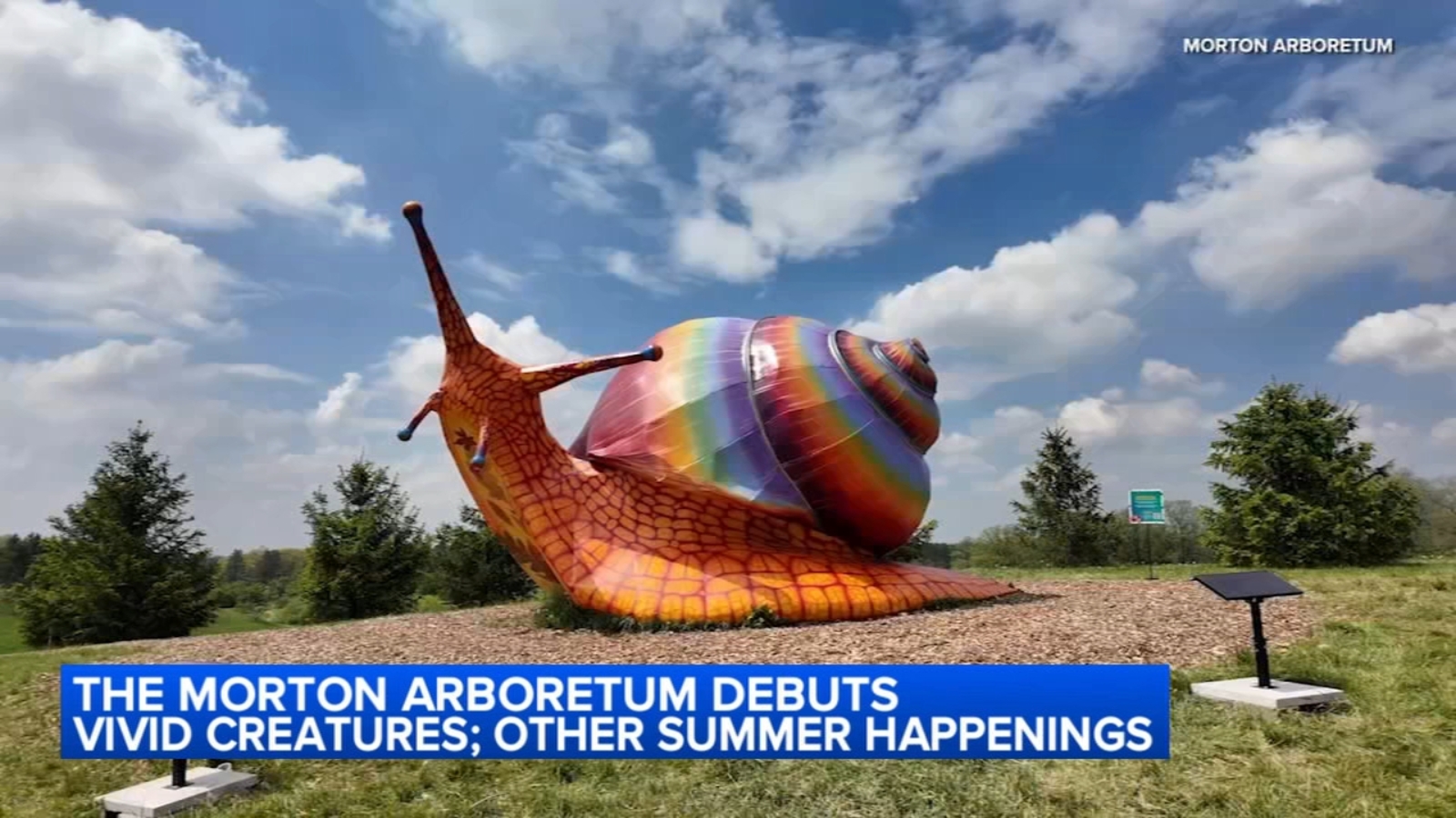 Lisle's Morton Arboretum has new exhibit, 'Vivid Creatures,' featuring ...