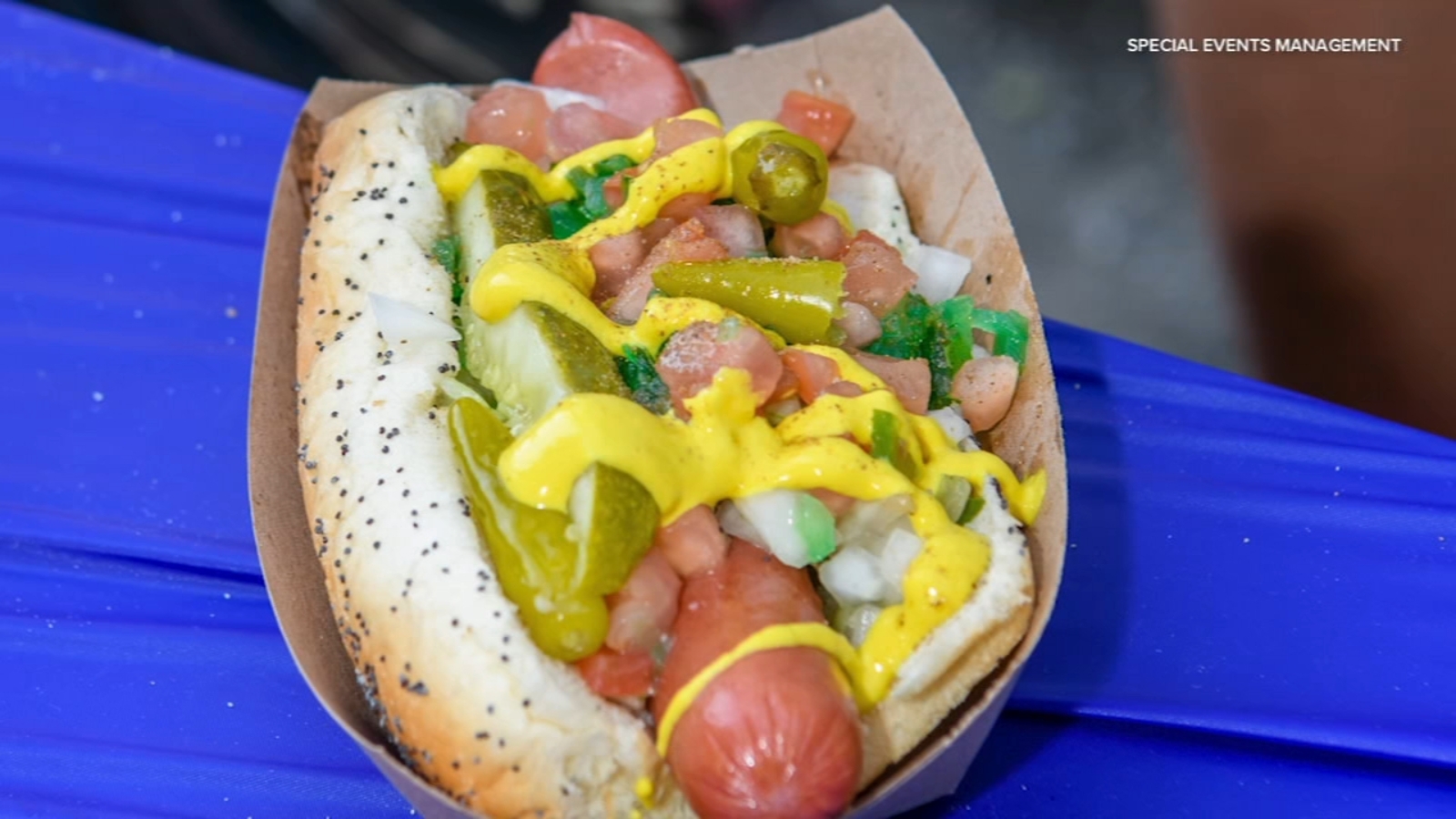 Vote for city's 'Top Dog' at Windy City Hot Dog Fest on Milwaukee ...