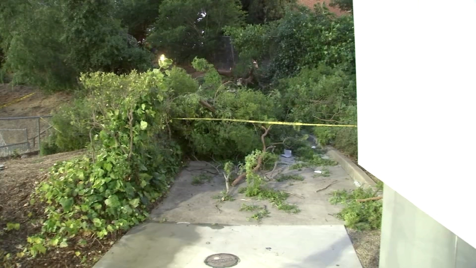 12 people injured by falling tree during Diablo Valley College's graduation ceremony in Pleasant ...