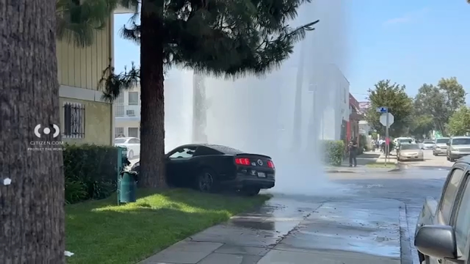 Driver crashes into fire hydrant at end of short police chase in Los ...
