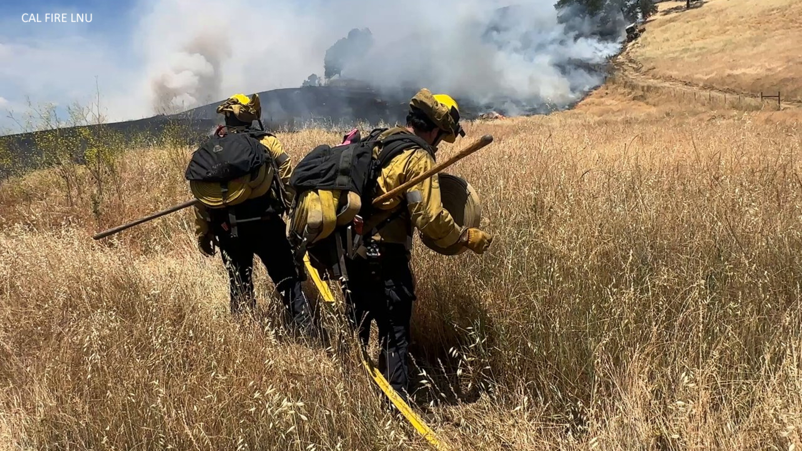 Cherry Fire: Forward progress stopped on brush fire near Highway 80 in ...