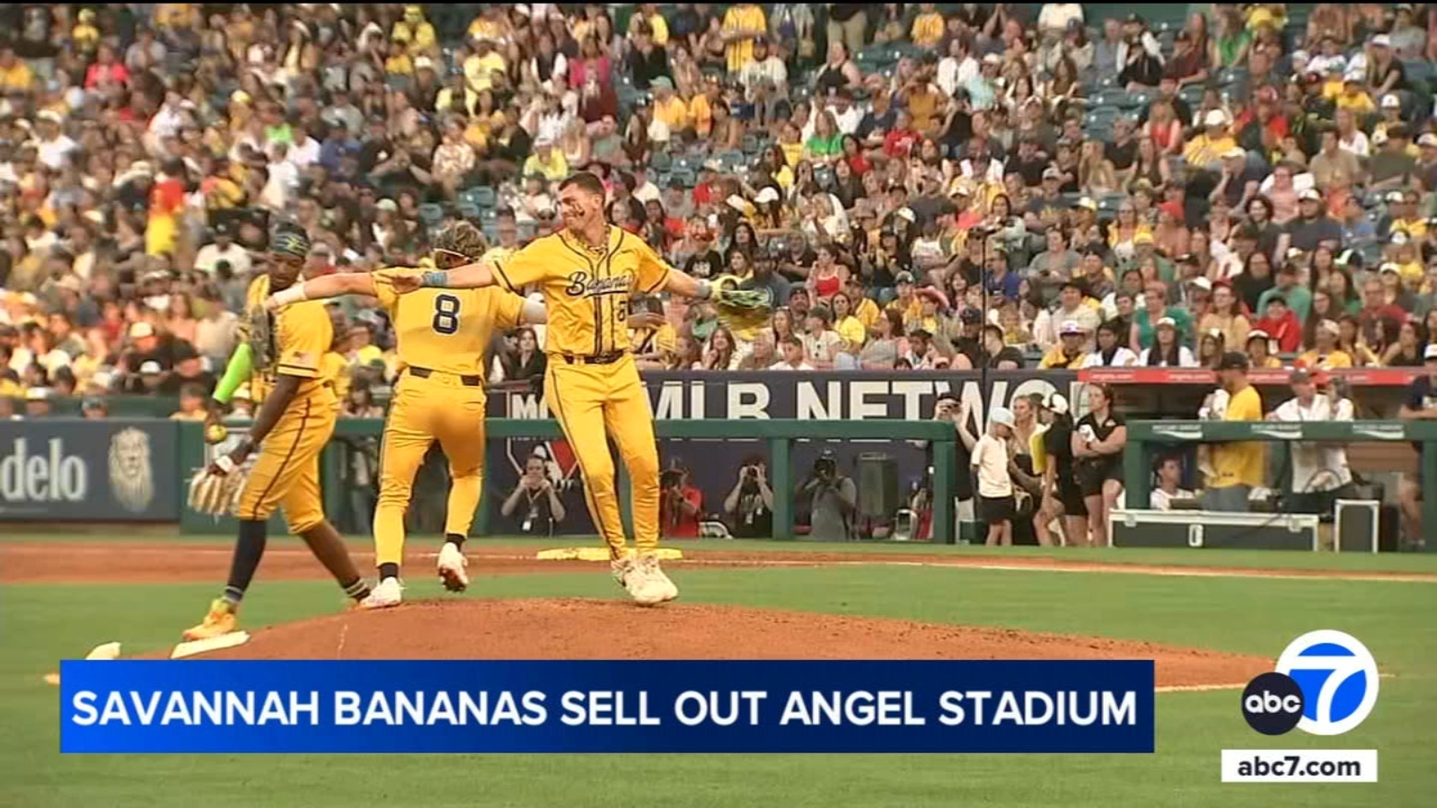 Viral sensation Savannah Bananas take over Angel Stadium this weekend with two sold out games ...