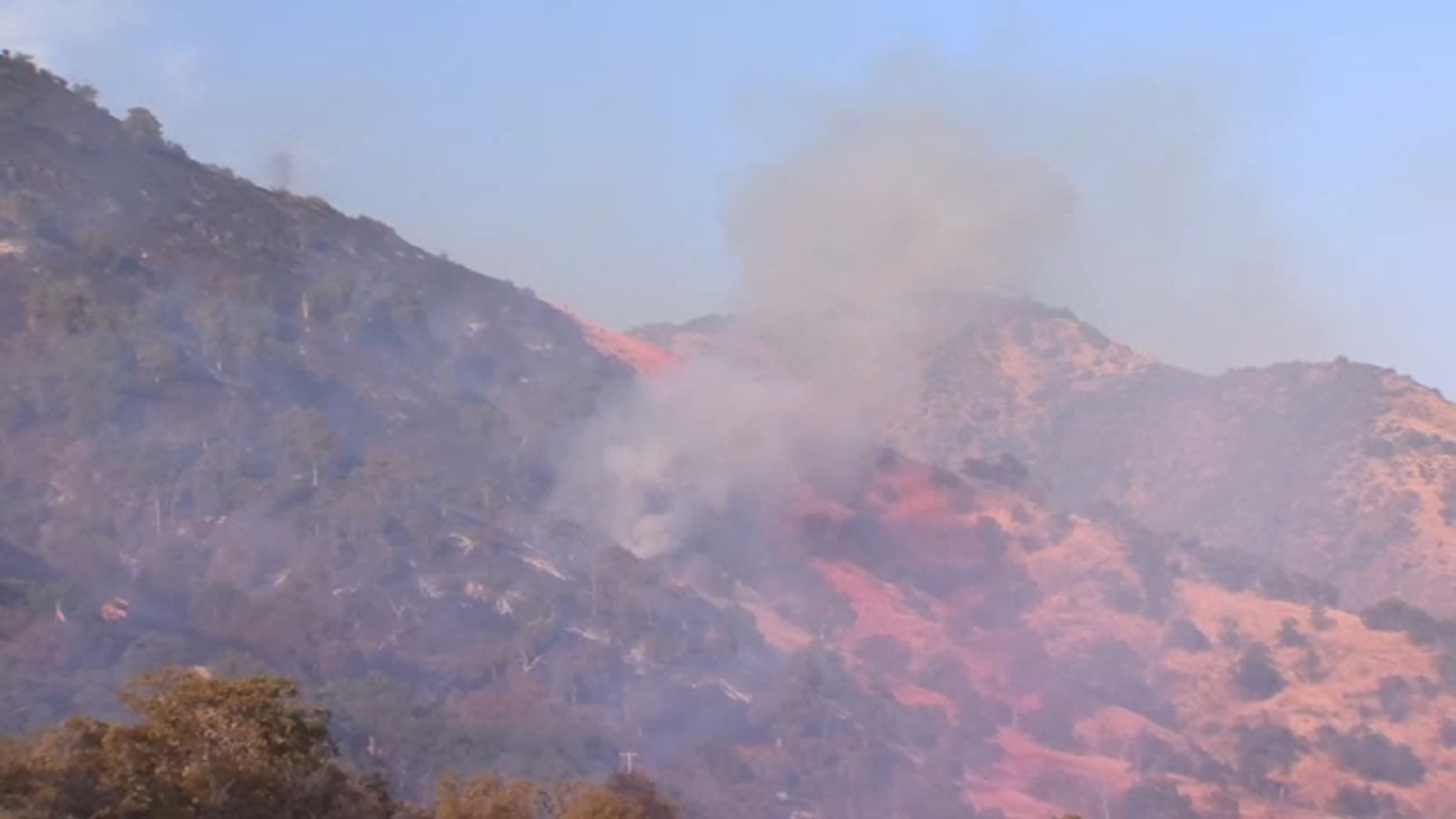 Forward progress on Rector Fire in Yokuts Valley stopped - ABC30 Fresno