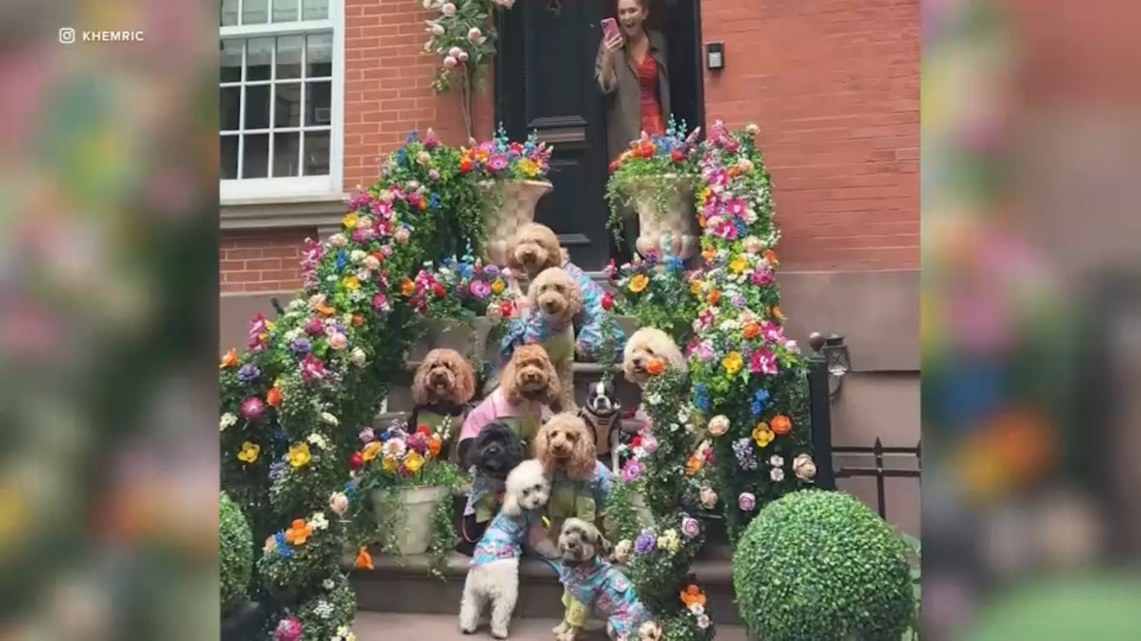 Viral elaborately decorated townhouse stoop on Upper East Side becomes ...