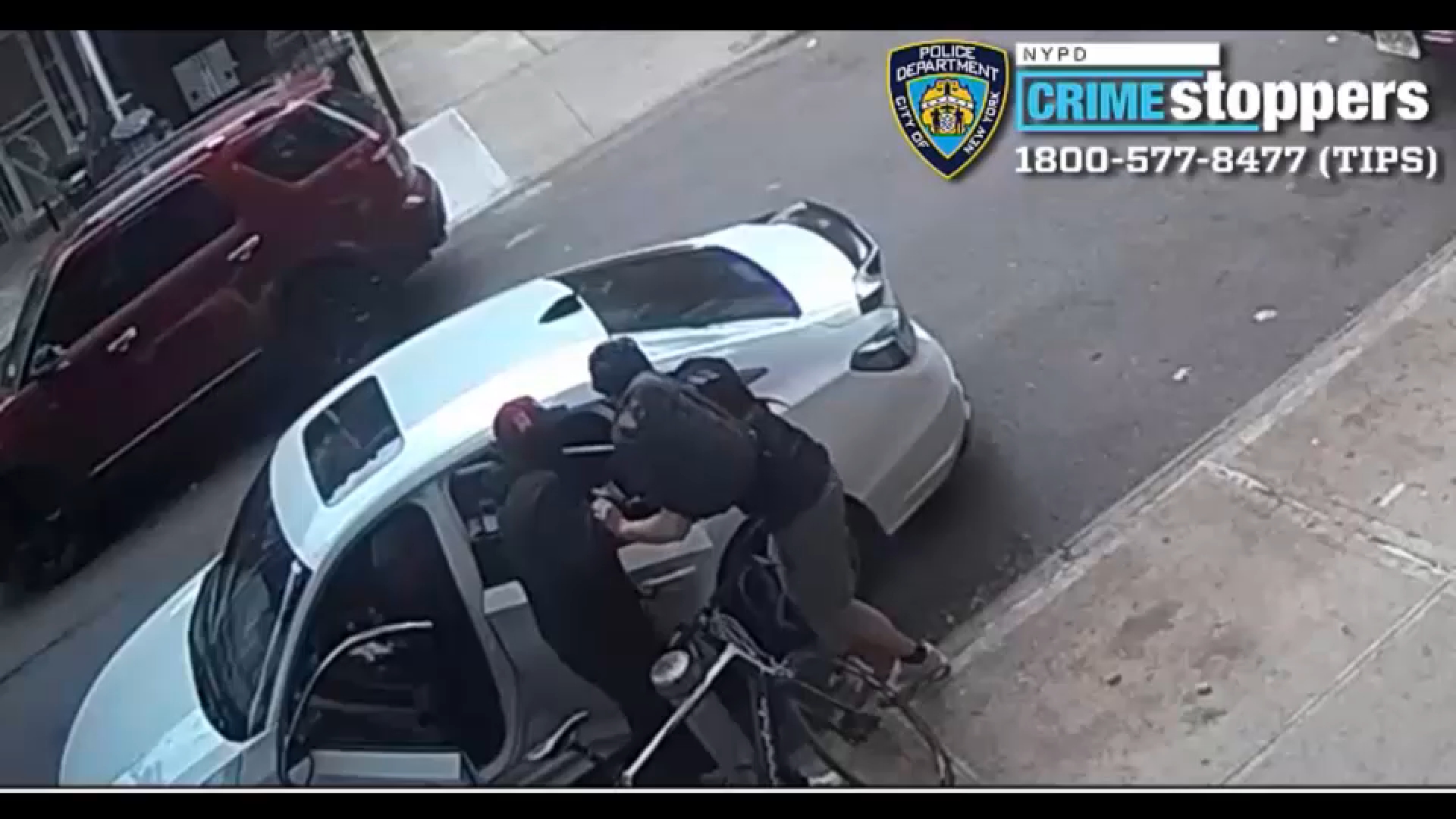 Men wanted in Queens robbery spree allegedly stole 2 French bulldogs ...